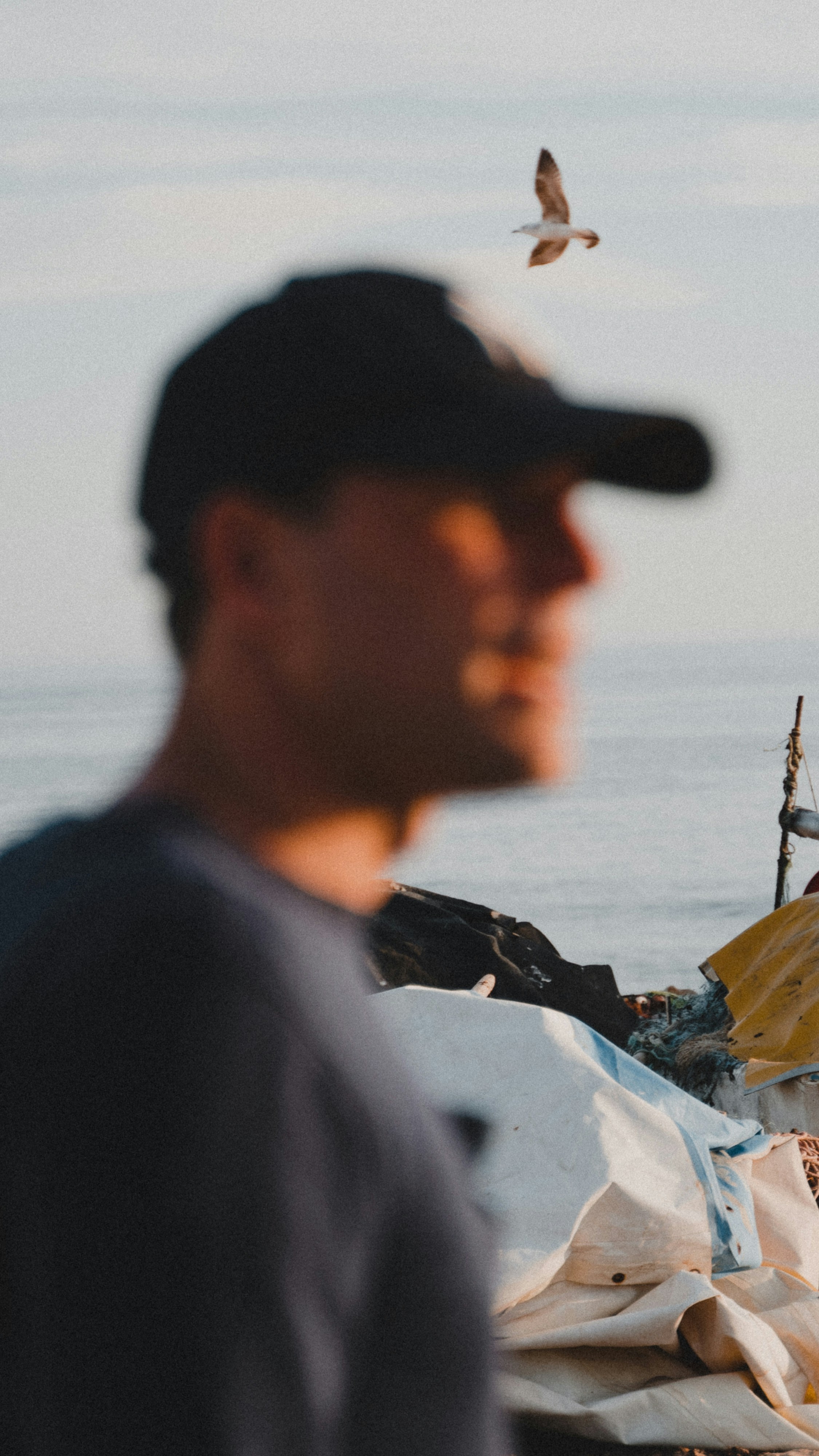 Blurred Portrait by the Ocean: A Solo Moment with a Flying Seagull