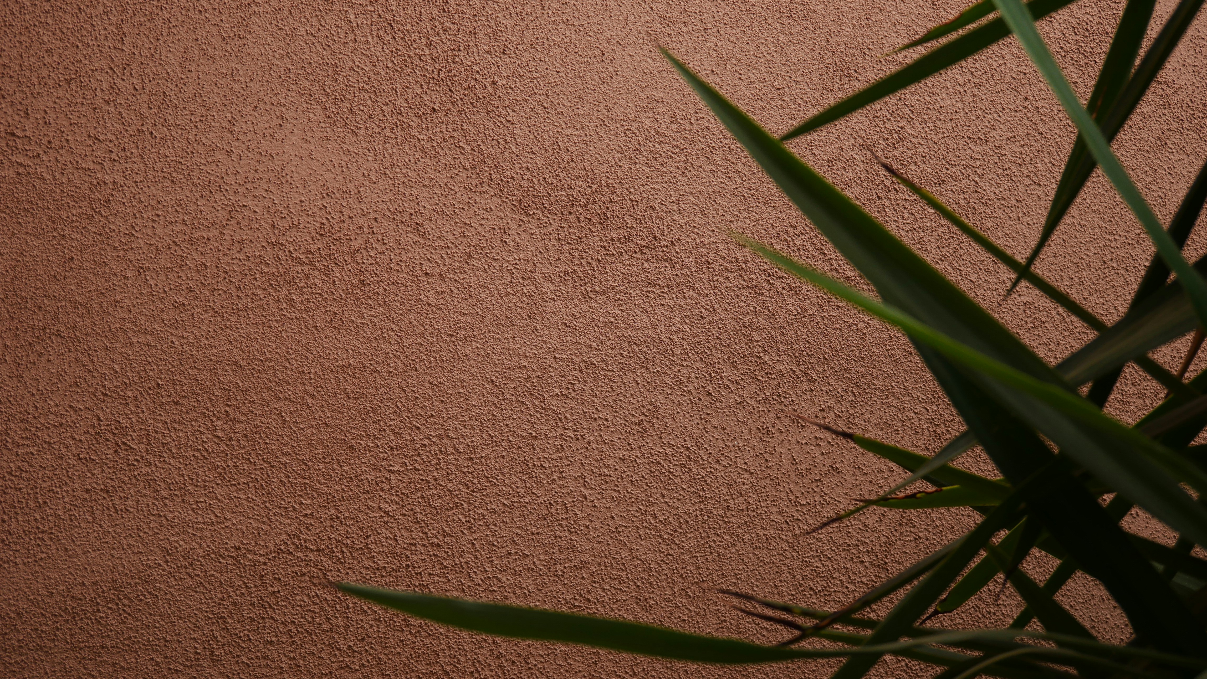 Back Ground Pictures | Download Free Images on Unsplash