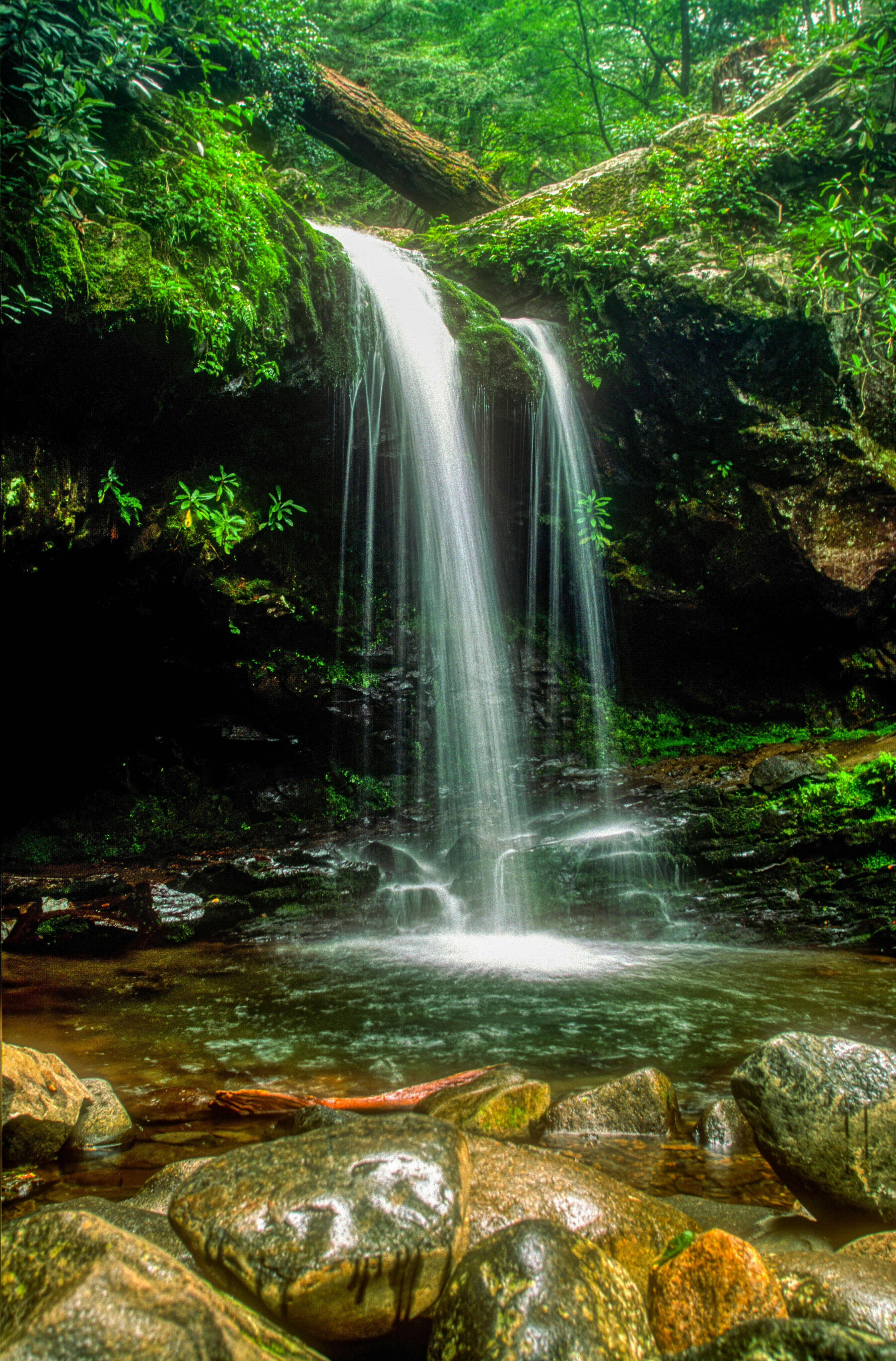 Water falls in the middle of the forest photo – Free Great smoky ...