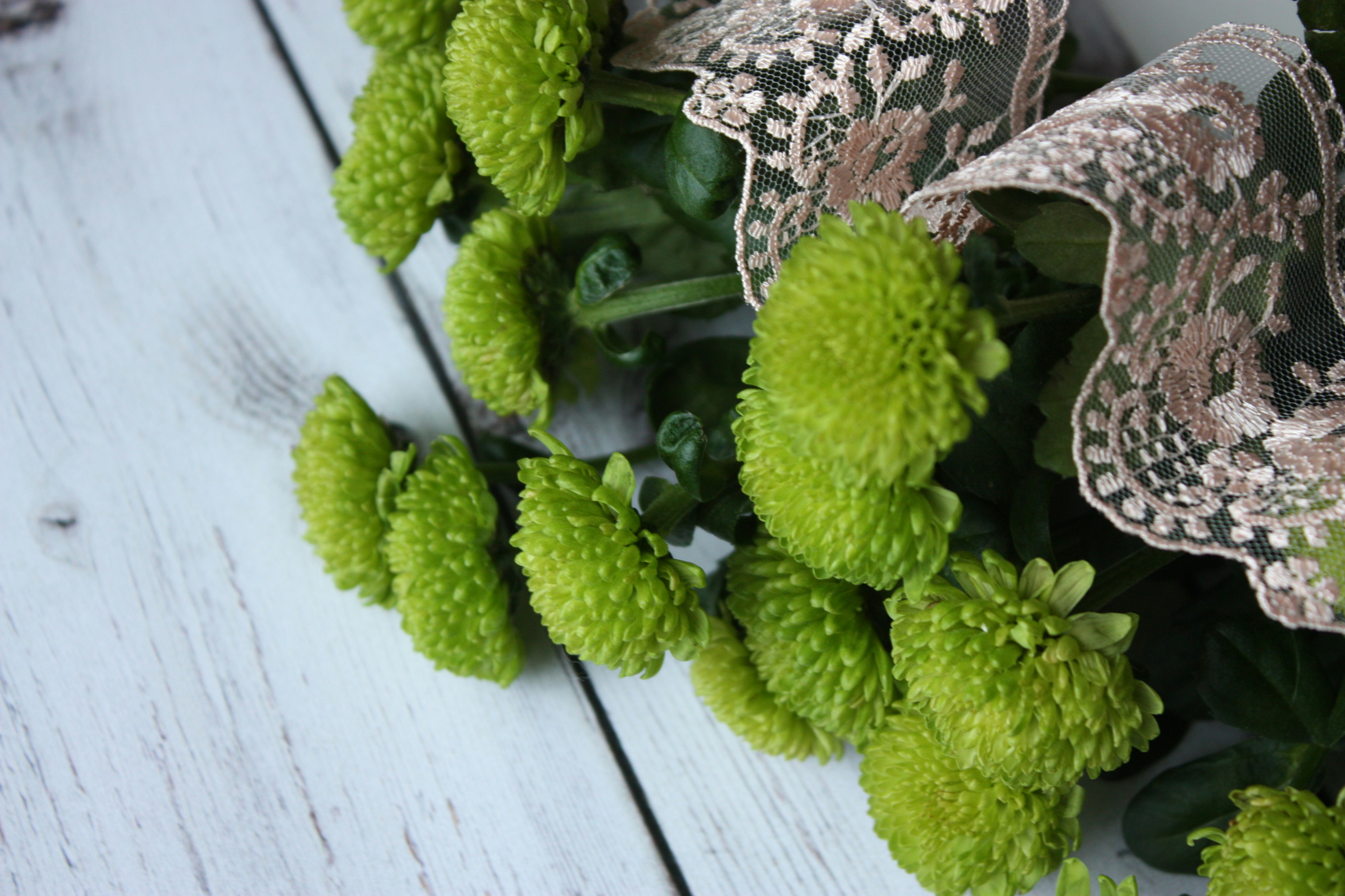 Green globe chrysanthemums with delicate lace drapery on a pale wooden surface
