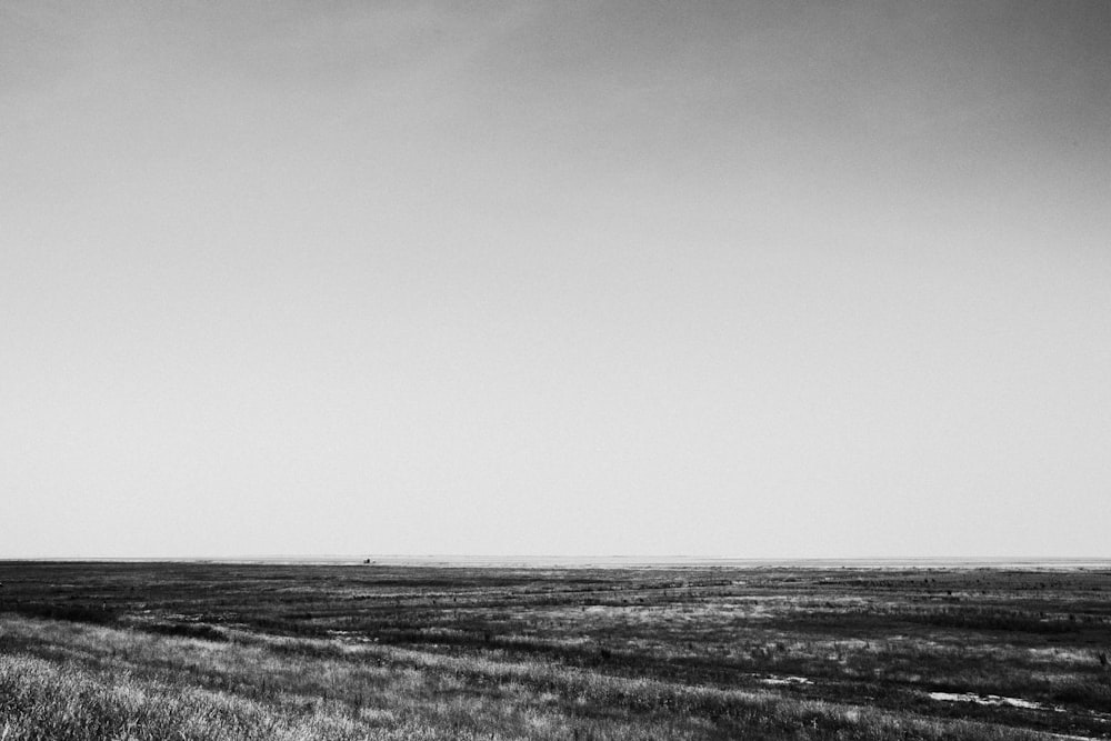 Photo en niveaux de gris d’un champ d’herbe photo – Photo Gris Gratuite ... Photo en niveaux de gris d’un champ d’herbe photo – Photo Gris Gratuite ...