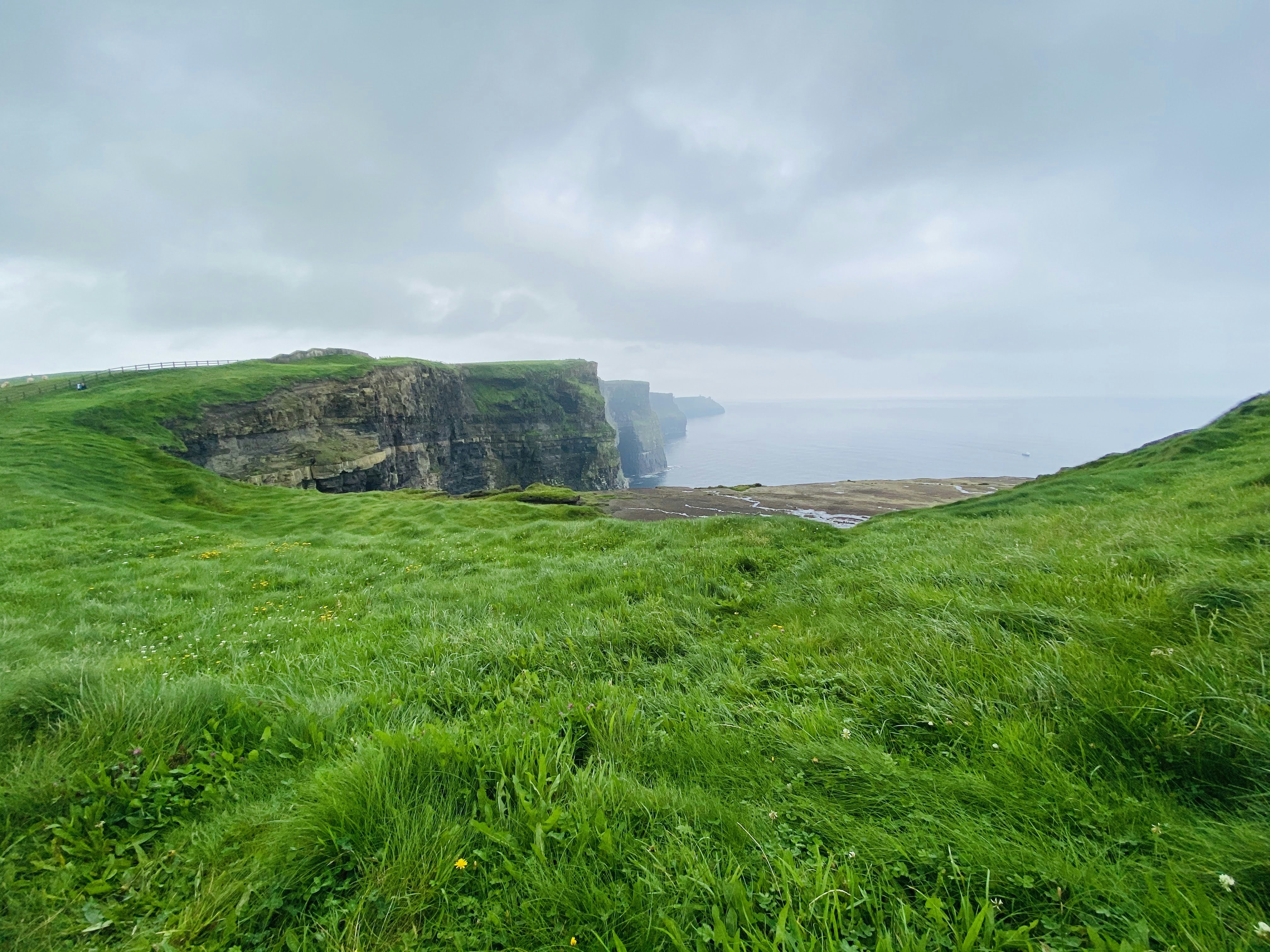 Verdant Cliffline: Green Ribbon Meets Mist on the Coast