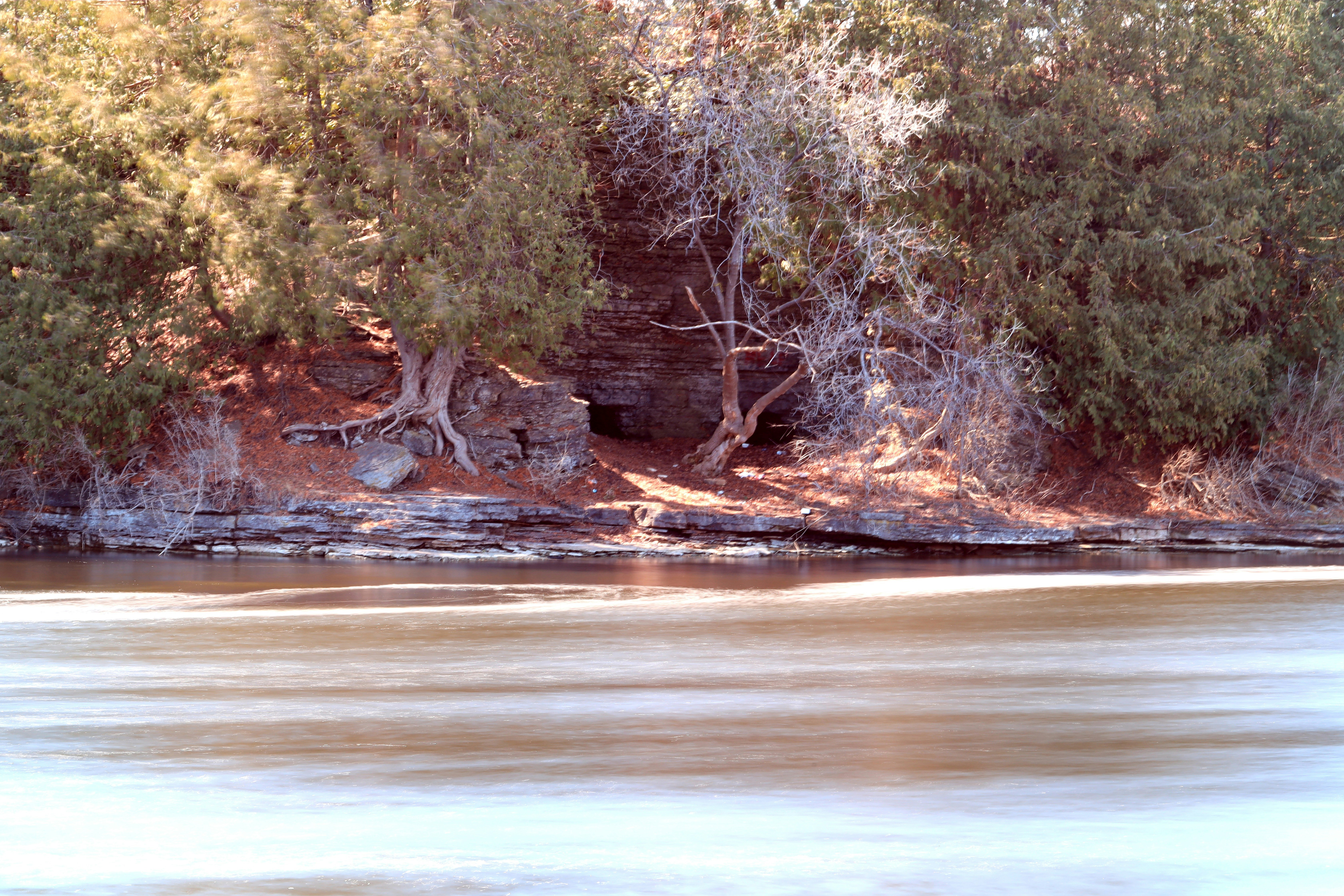 Serene riverbank scene featuring a rocky outcrop and lush trees, with gentle water flow reflecting the landscape.