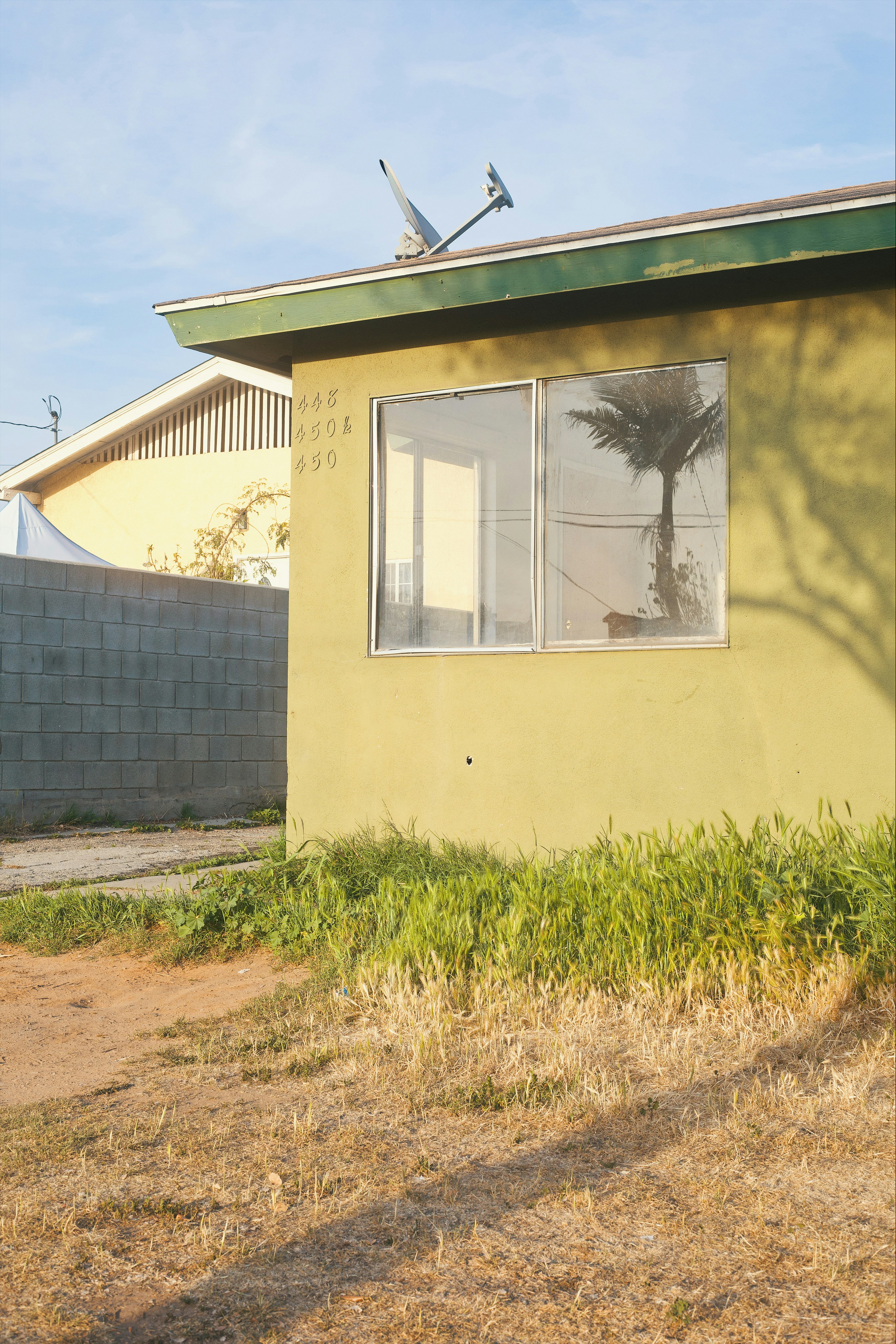 A green house with a large window reflects the surrounding landscape, featuring a palm tree's shadow. Satellite dishes are mounted on the roof, hinting at modern connectivity.
