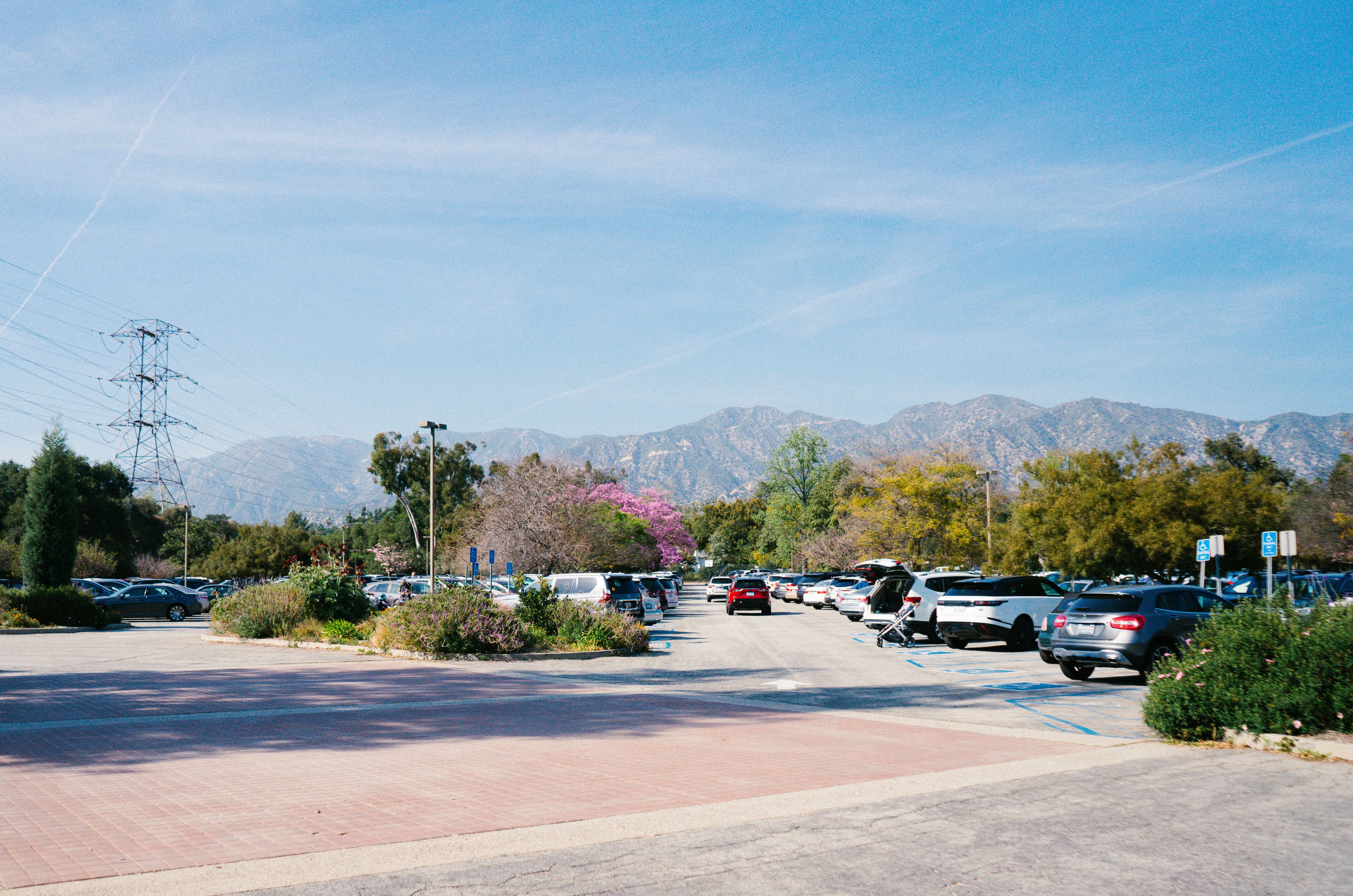 A busy parking lot surrounded by vibrant greenery and distant mountains, showcasing the blend of urban life and natural beauty.