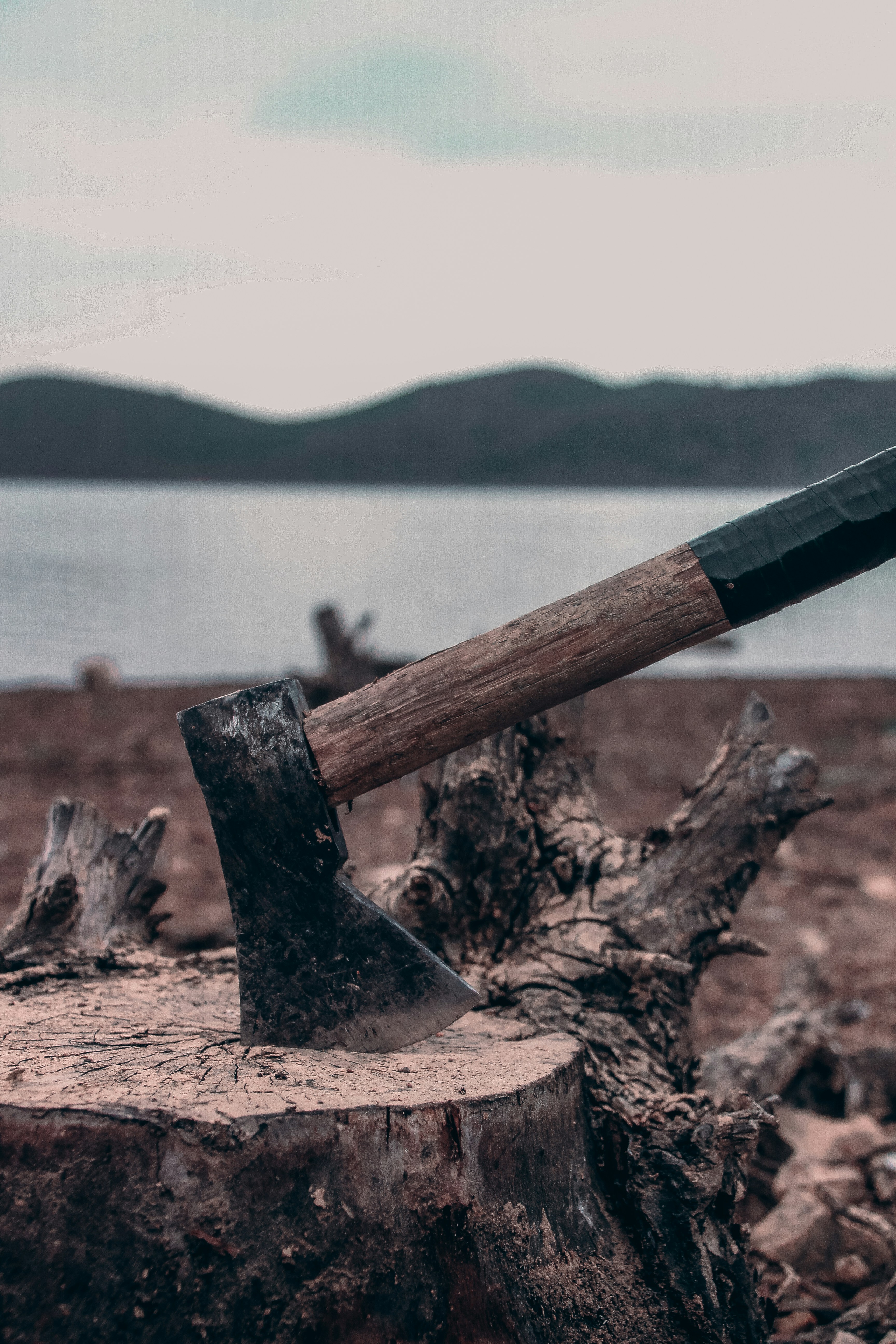 Axe Throwing Pictures | Download Free Images on Unsplash