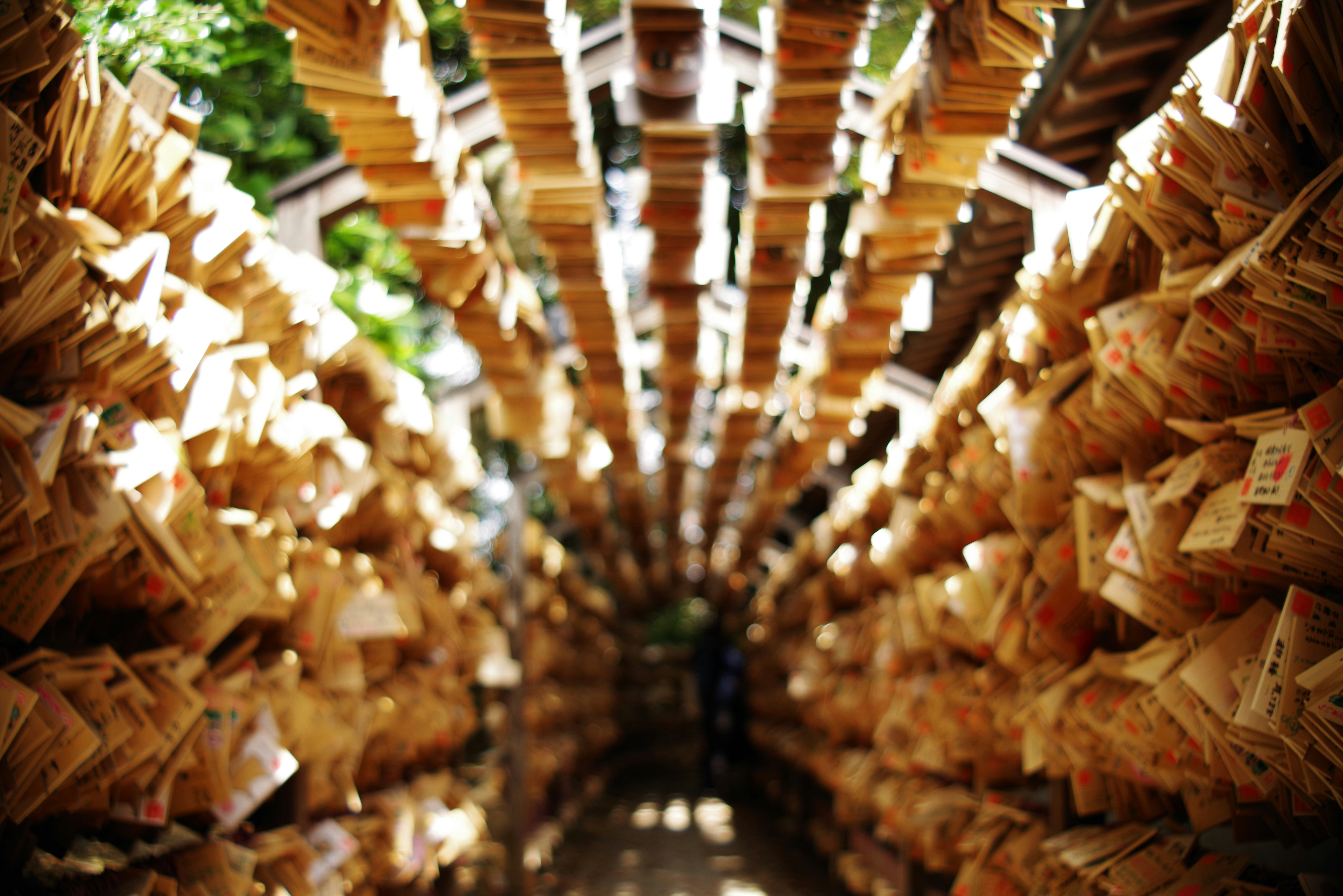 Endless rows of hanging brown folders create a tunnel-like archive, illuminated by natural light.