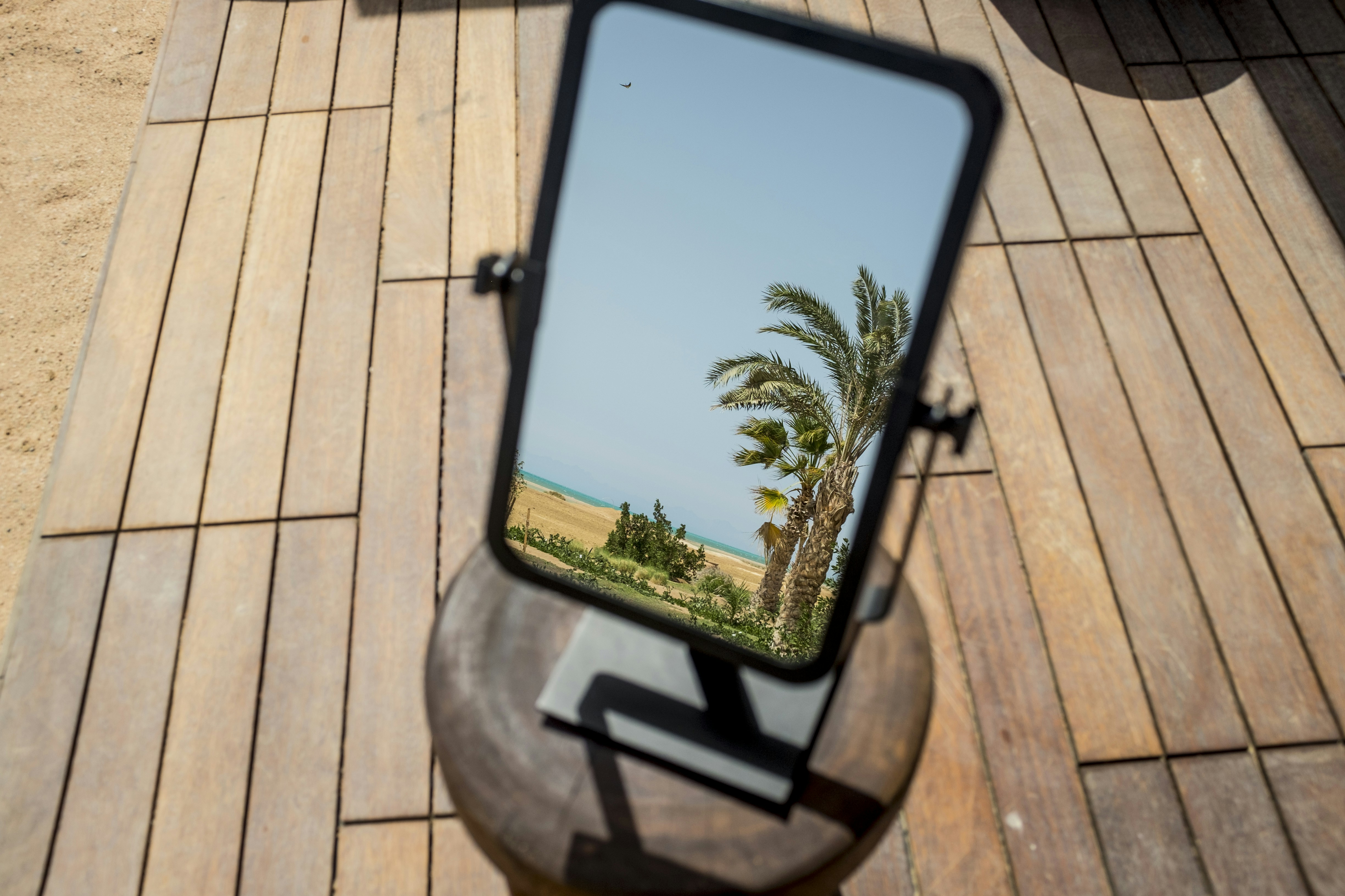 Edge of a Coastal Palms: A Tilted Reflection on Wooden Deck