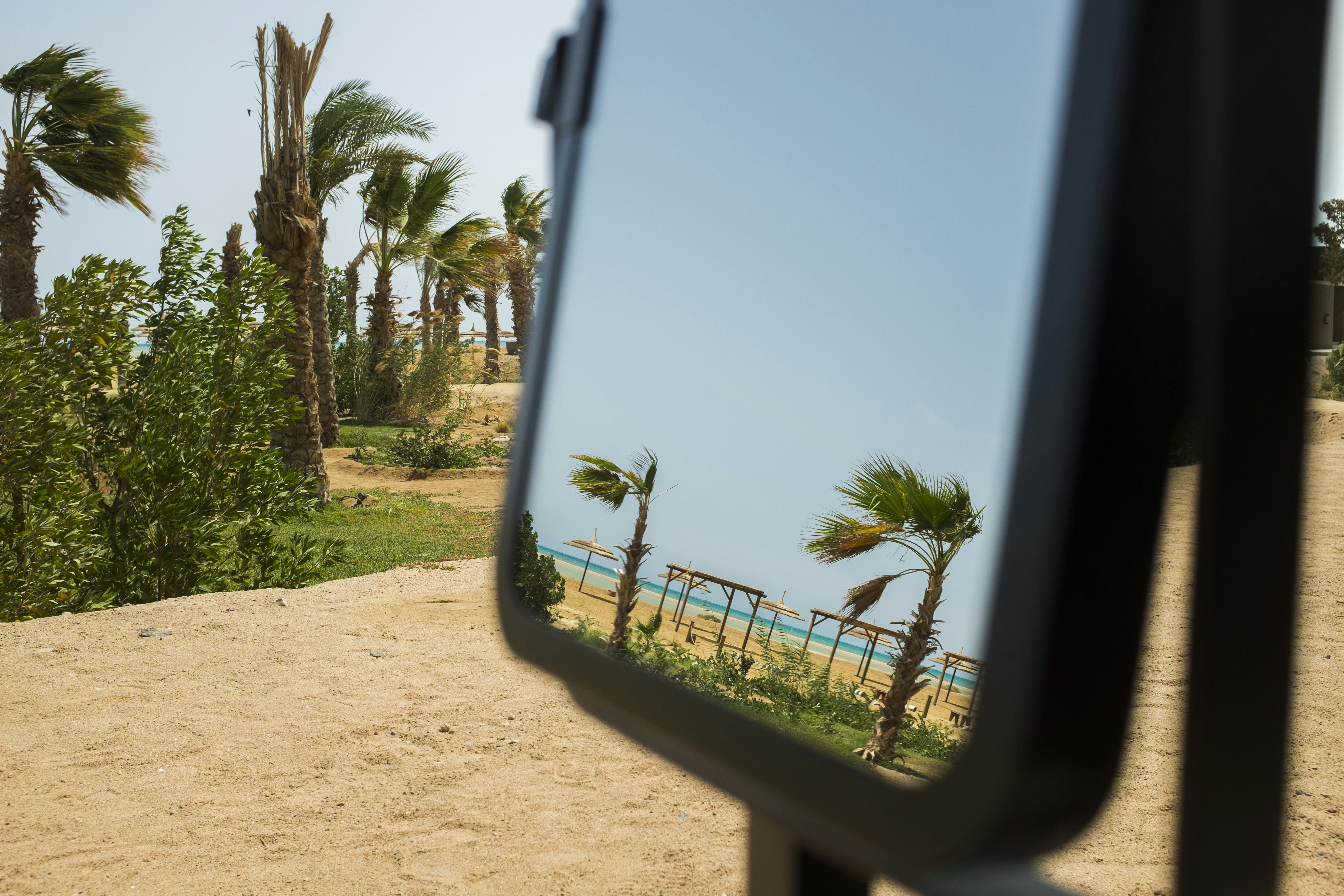 Coastal Mirage in a Rearview Frame: Palms by Sand and Sea