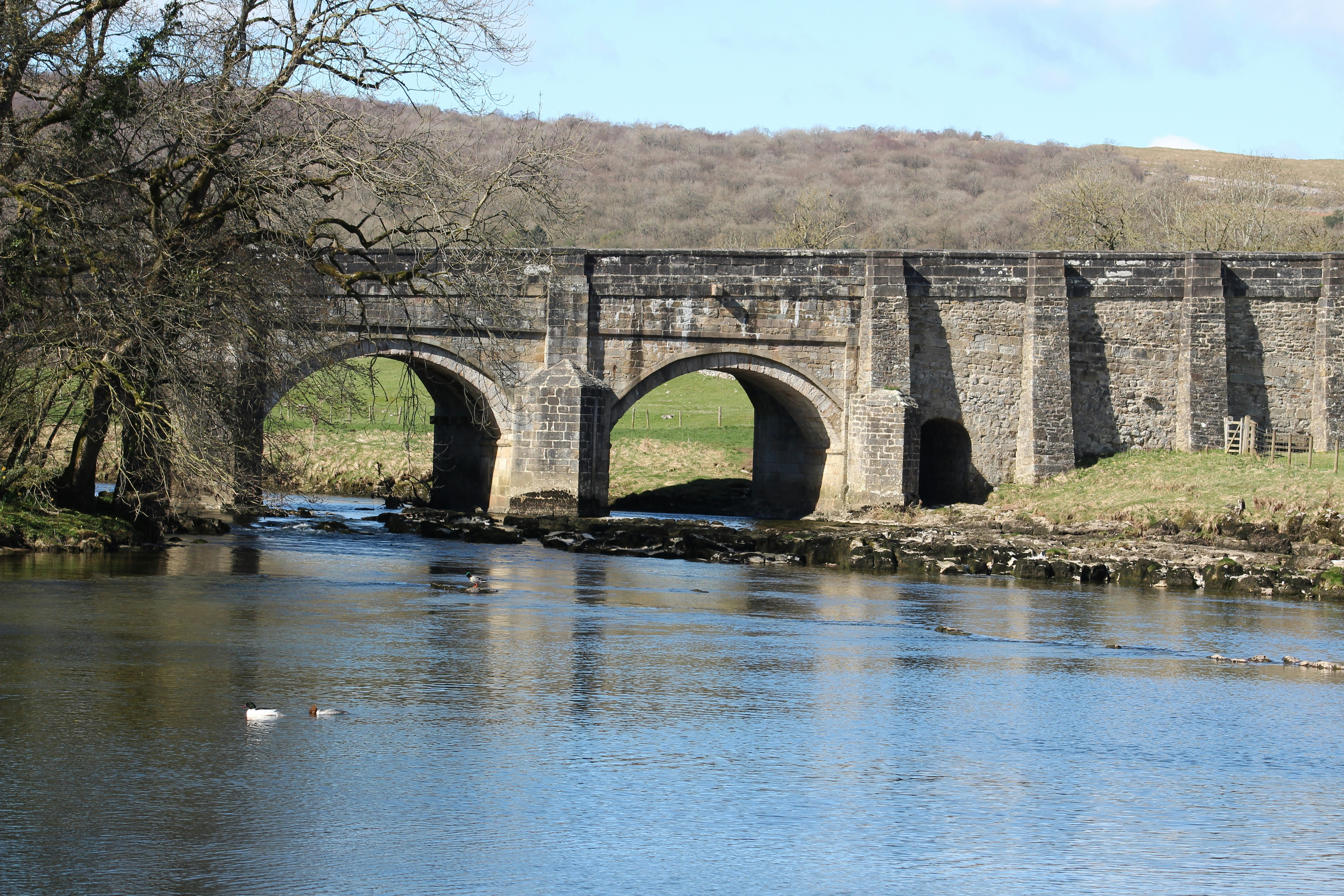 Gray concrete bridge over river during daytime photo – Free Building ...