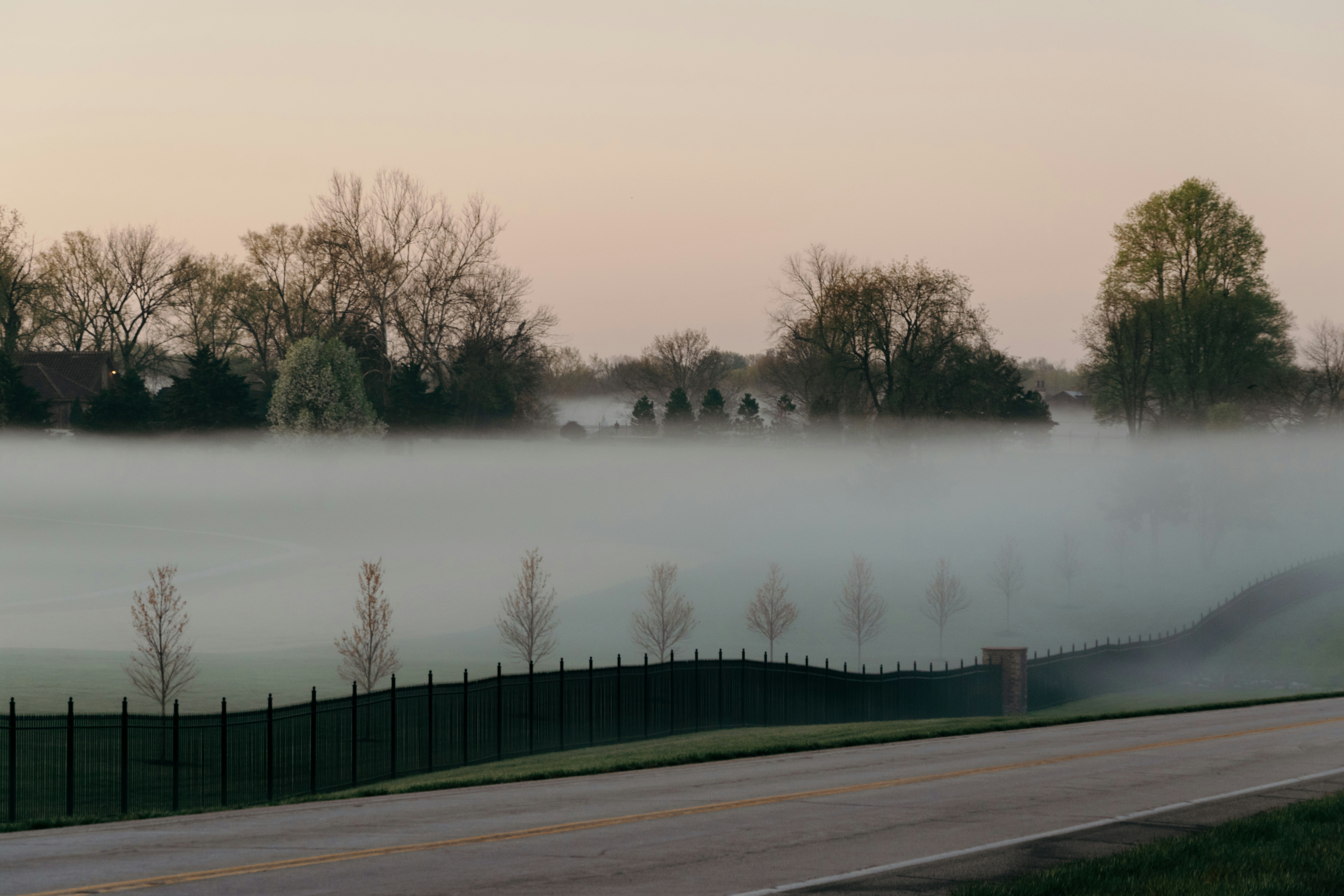 A tranquil landscape shrouded in mist at dawn, featuring a winding fence and silhouettes of trees. The scene captures the serene essence of early morning light.