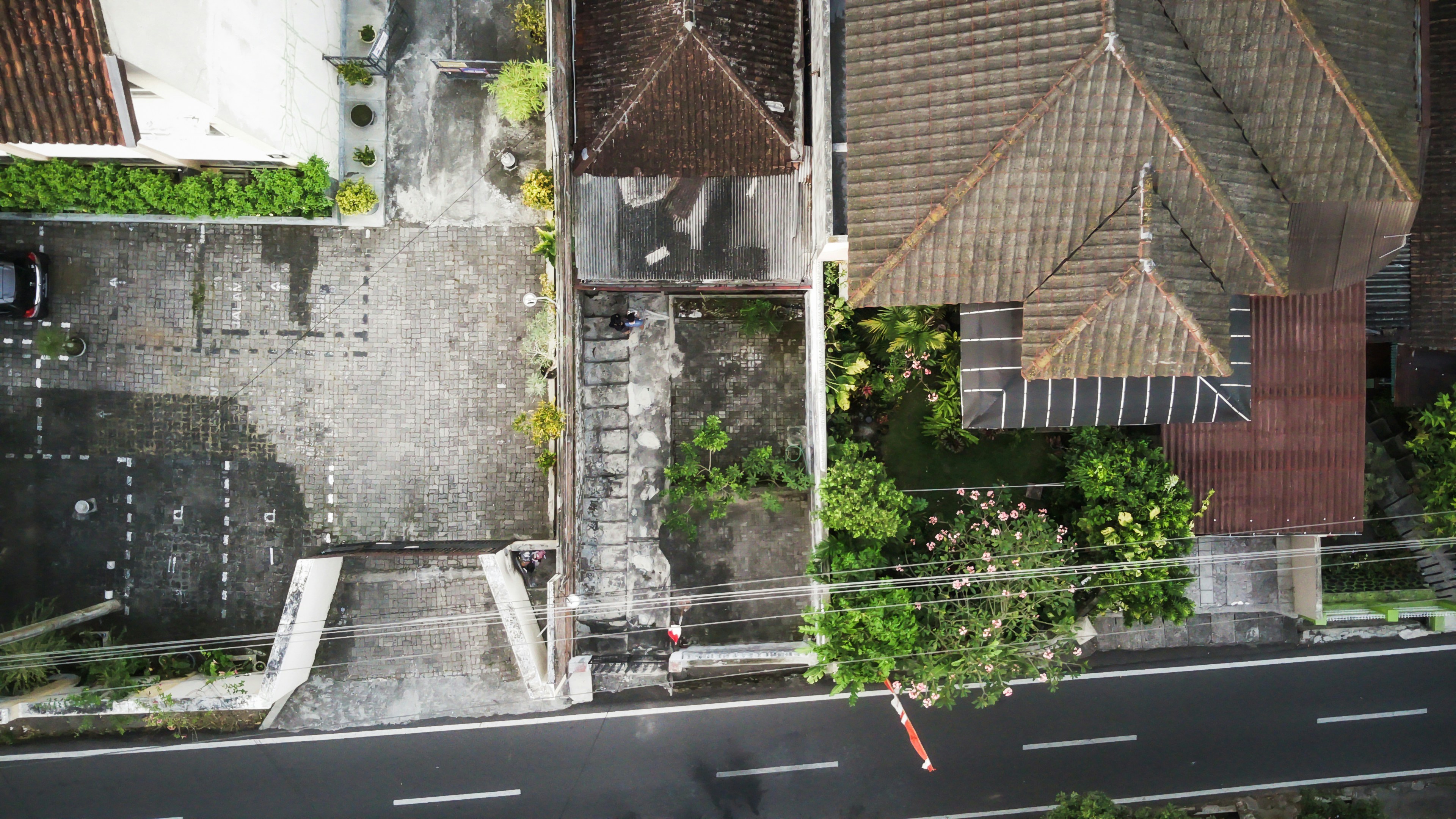 Aerial view showcasing a blend of residential architecture and vibrant greenery, highlighting the contrast between urban living and nature's presence.
