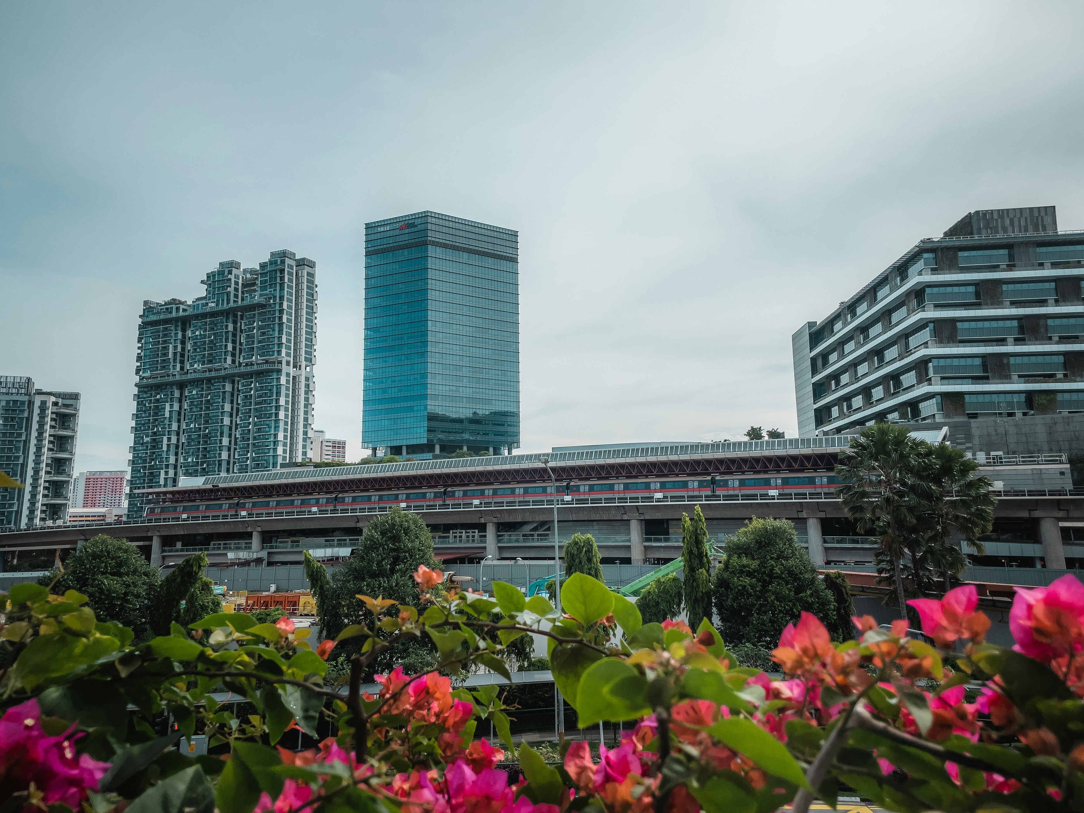 Skyscrapers rise behind a vibrant hedge of pink flowers, with a train station in the foreground under a cloudy sky.