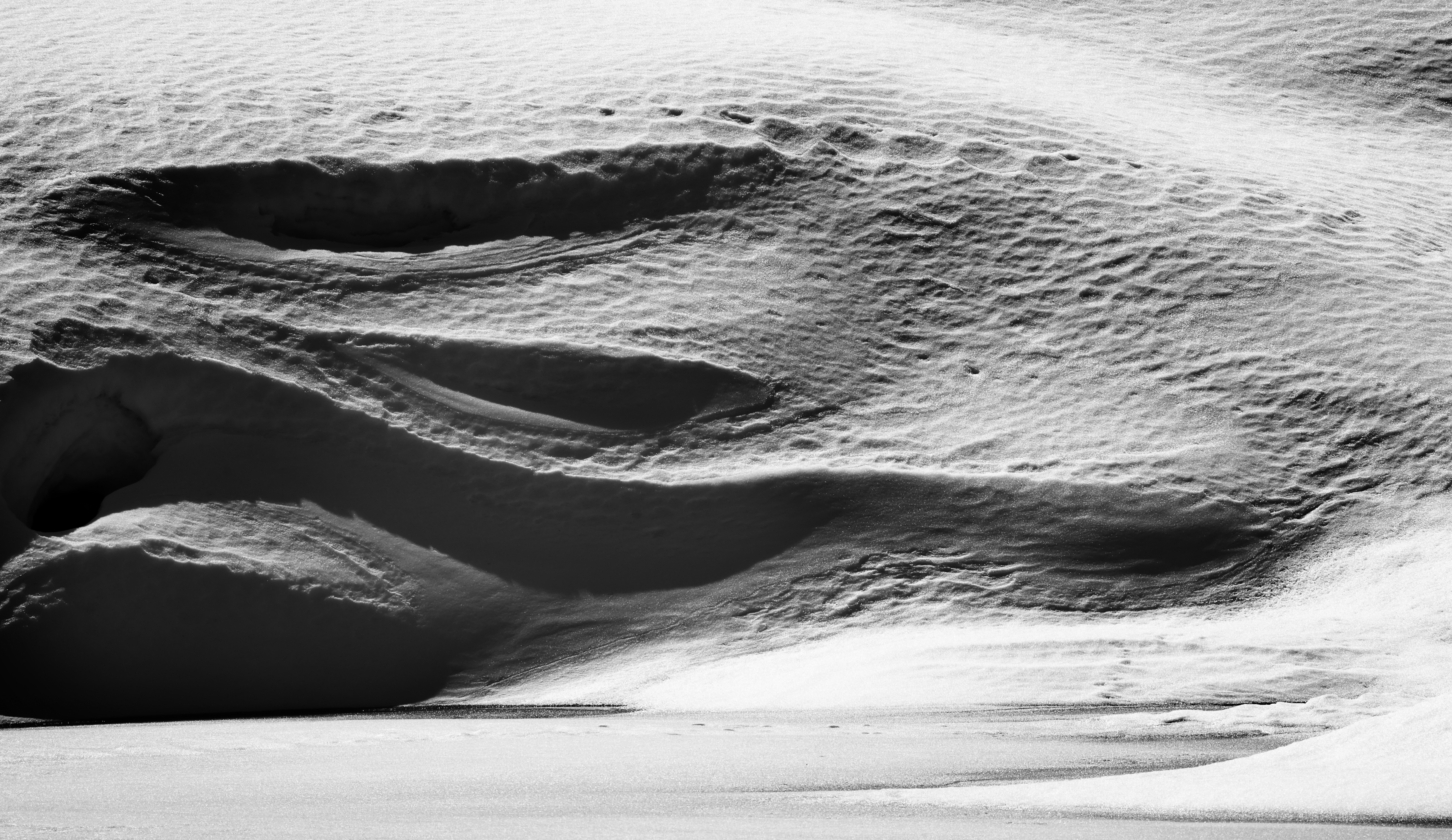 Monochrome Dunes: Sinuous Shadows in Quiet Light