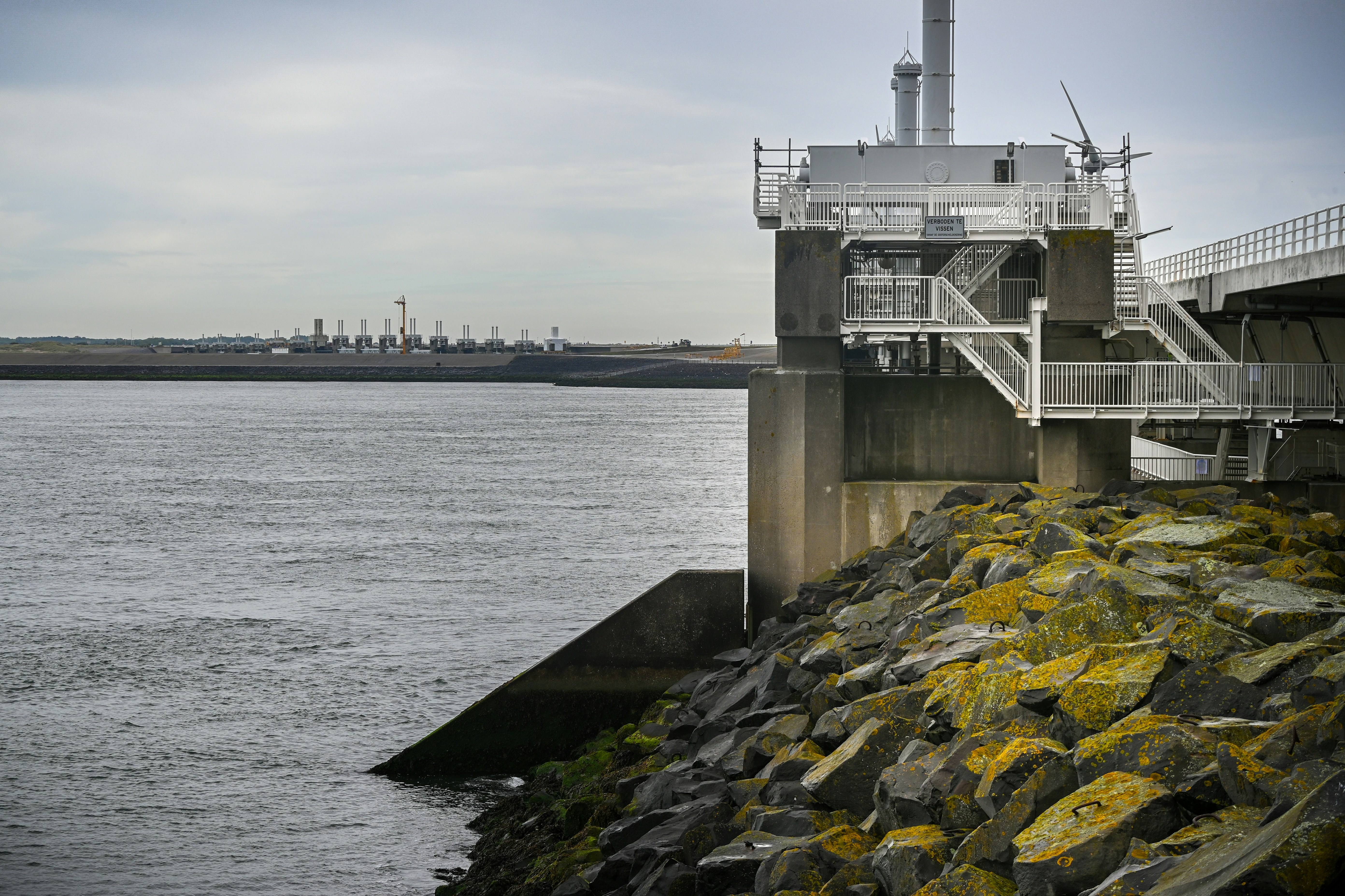 Staircase Over Mossy Breakwater: Harbor Structure in Calm Light