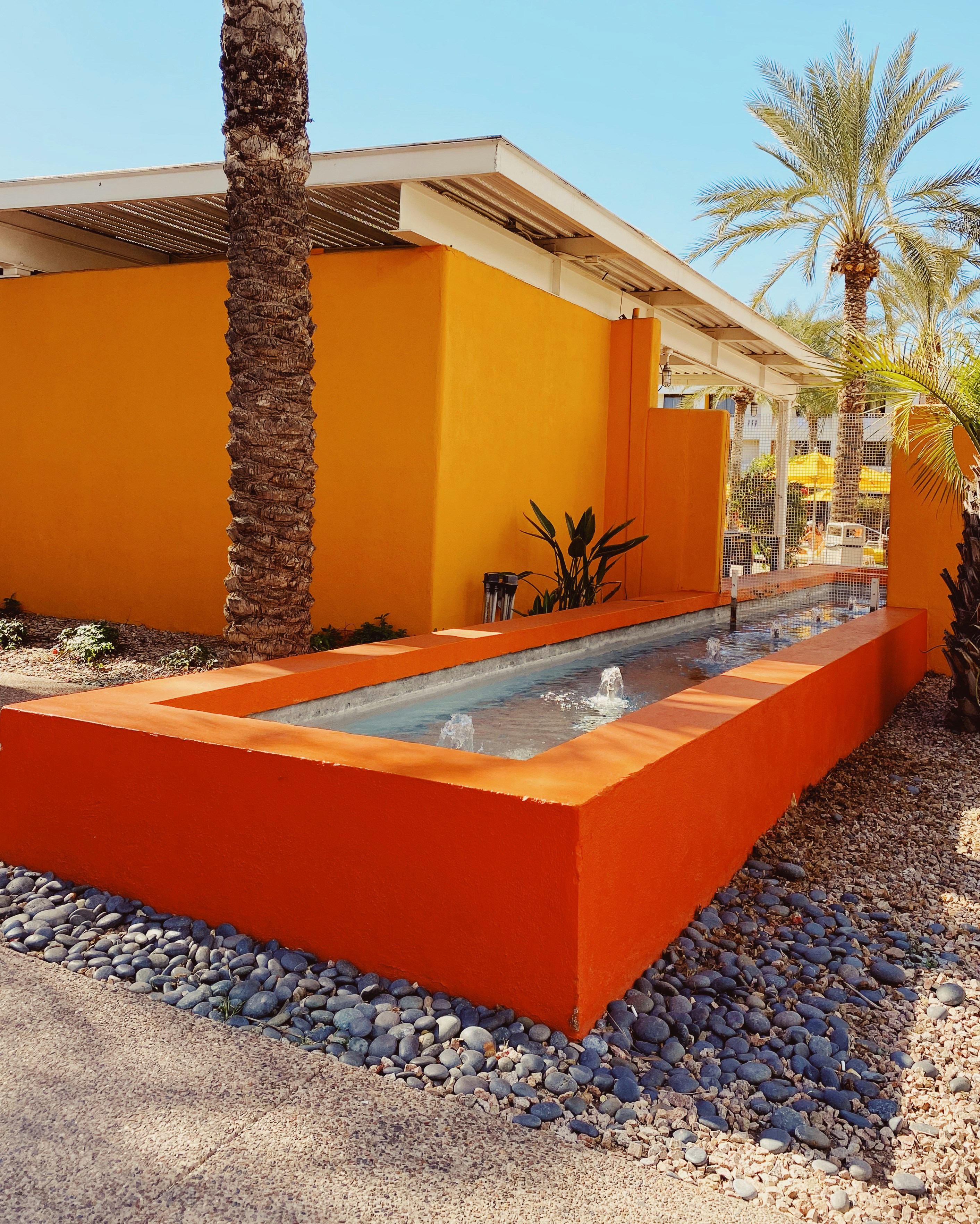 The Saguaro, Scottsdale 