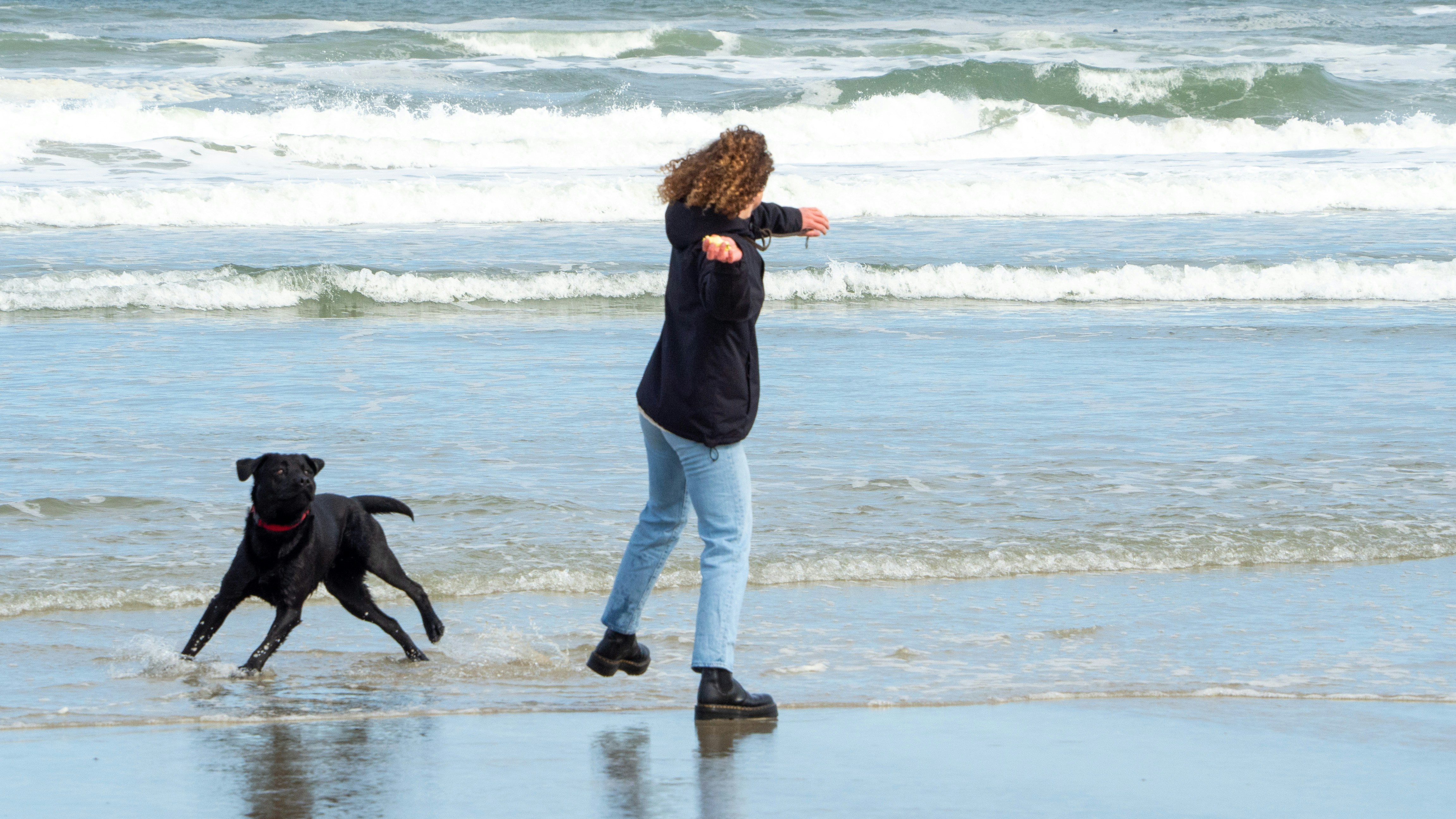woman in black jacket and white pants walking on beach with black short coat medium dog