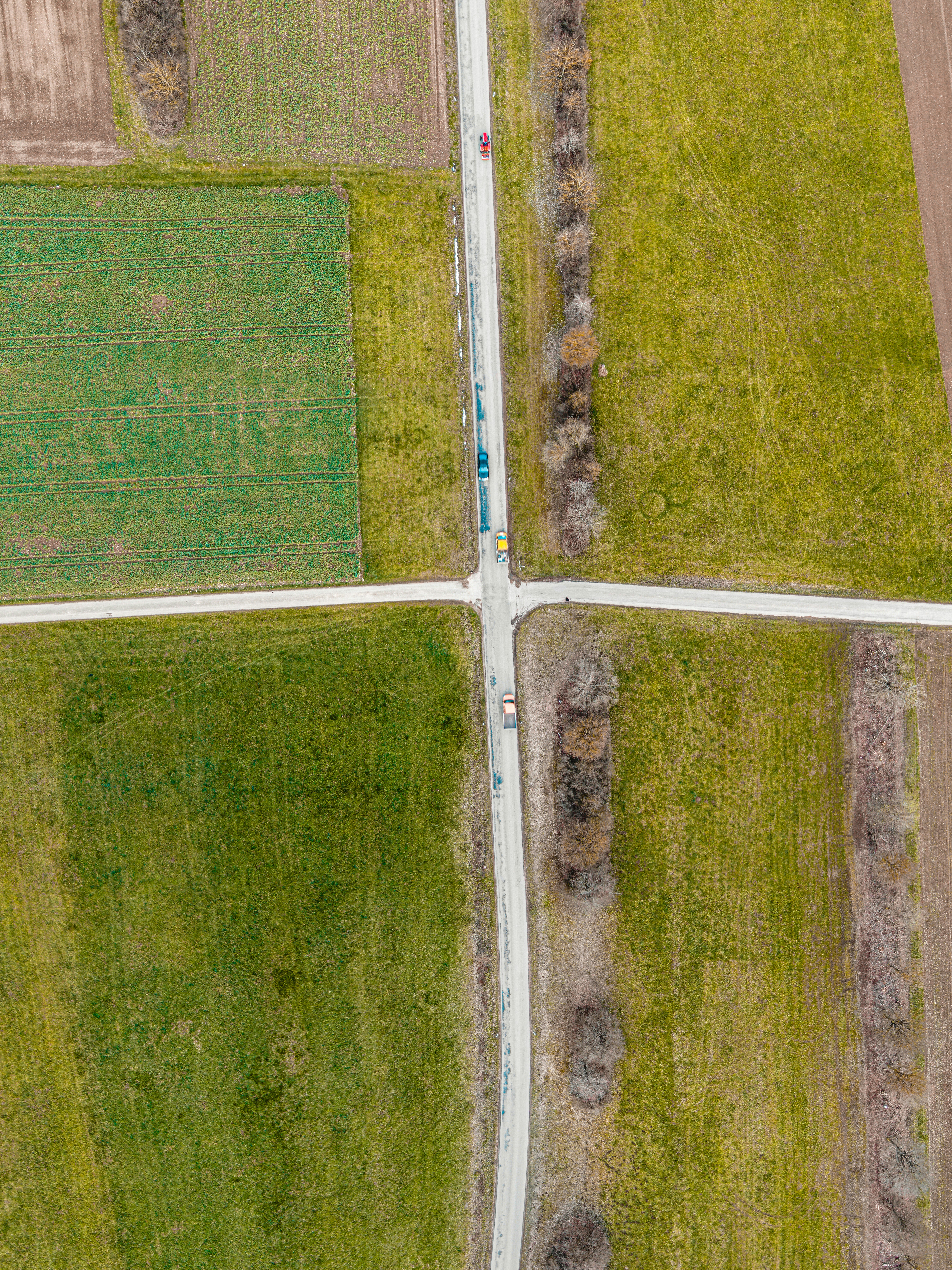 aerial view of green grass field
