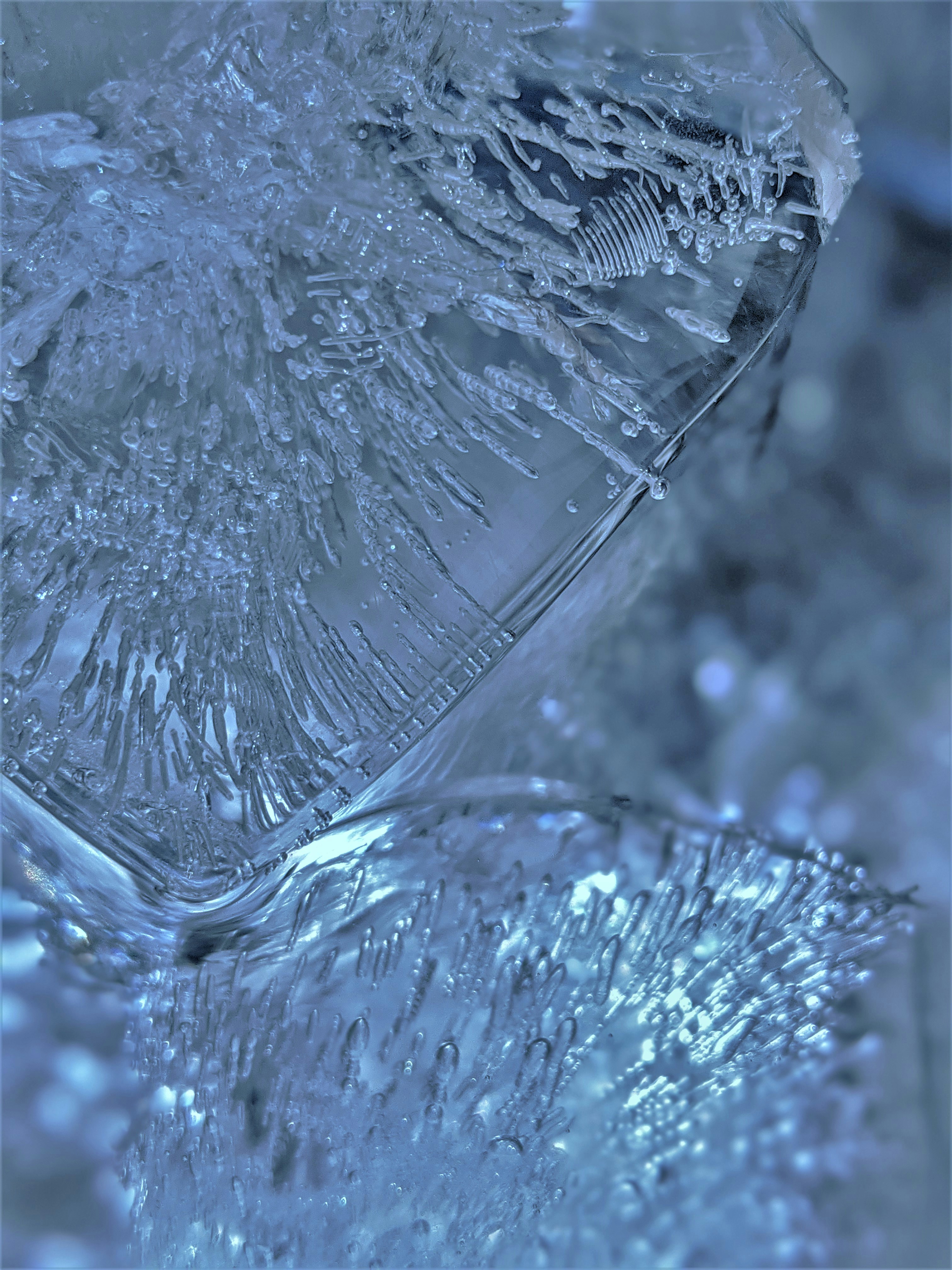 Intricate patterns of bubbles and frost captured within a block of ice, showcasing the delicate interplay of transparency and texture.