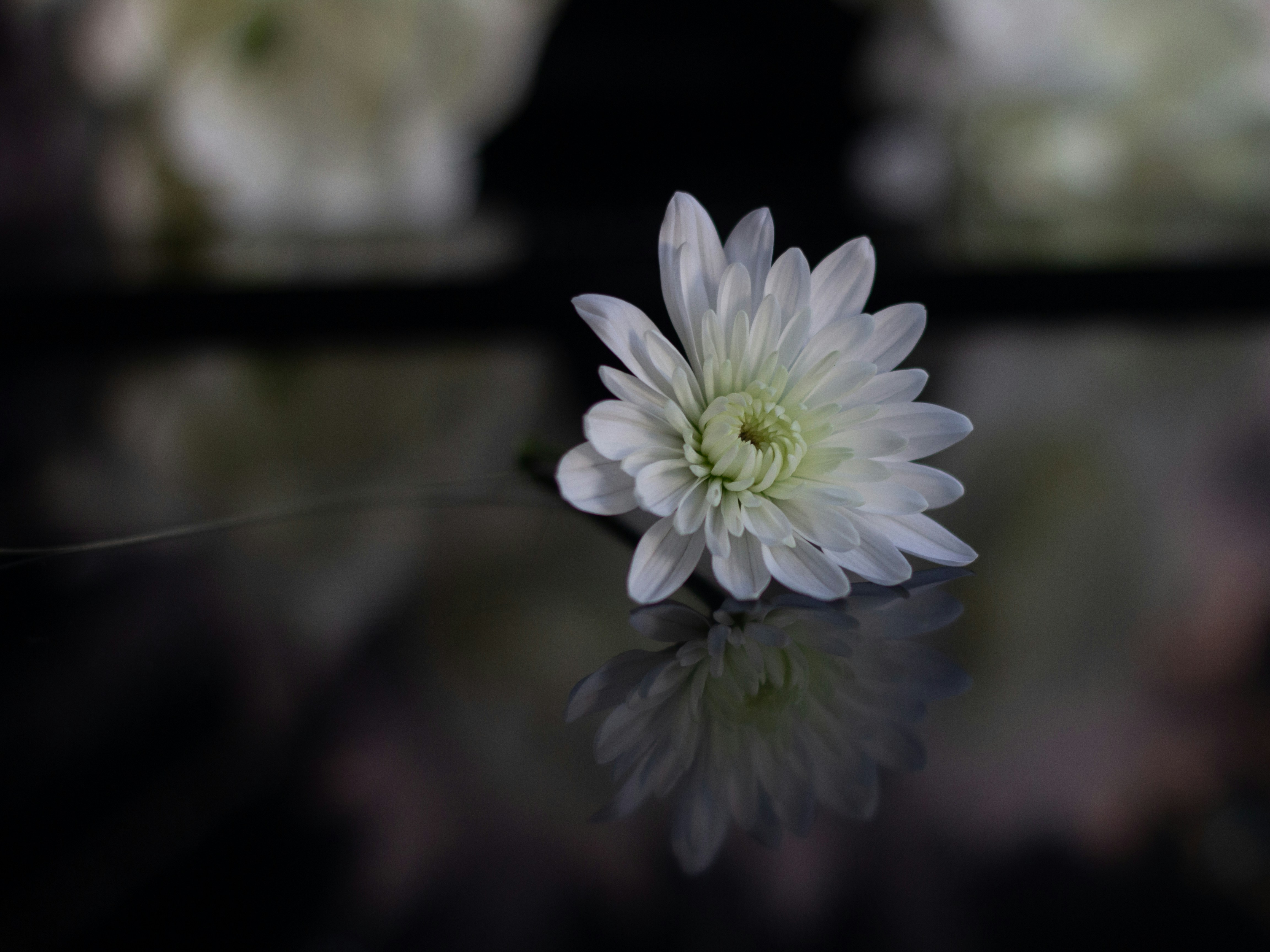 Reflection