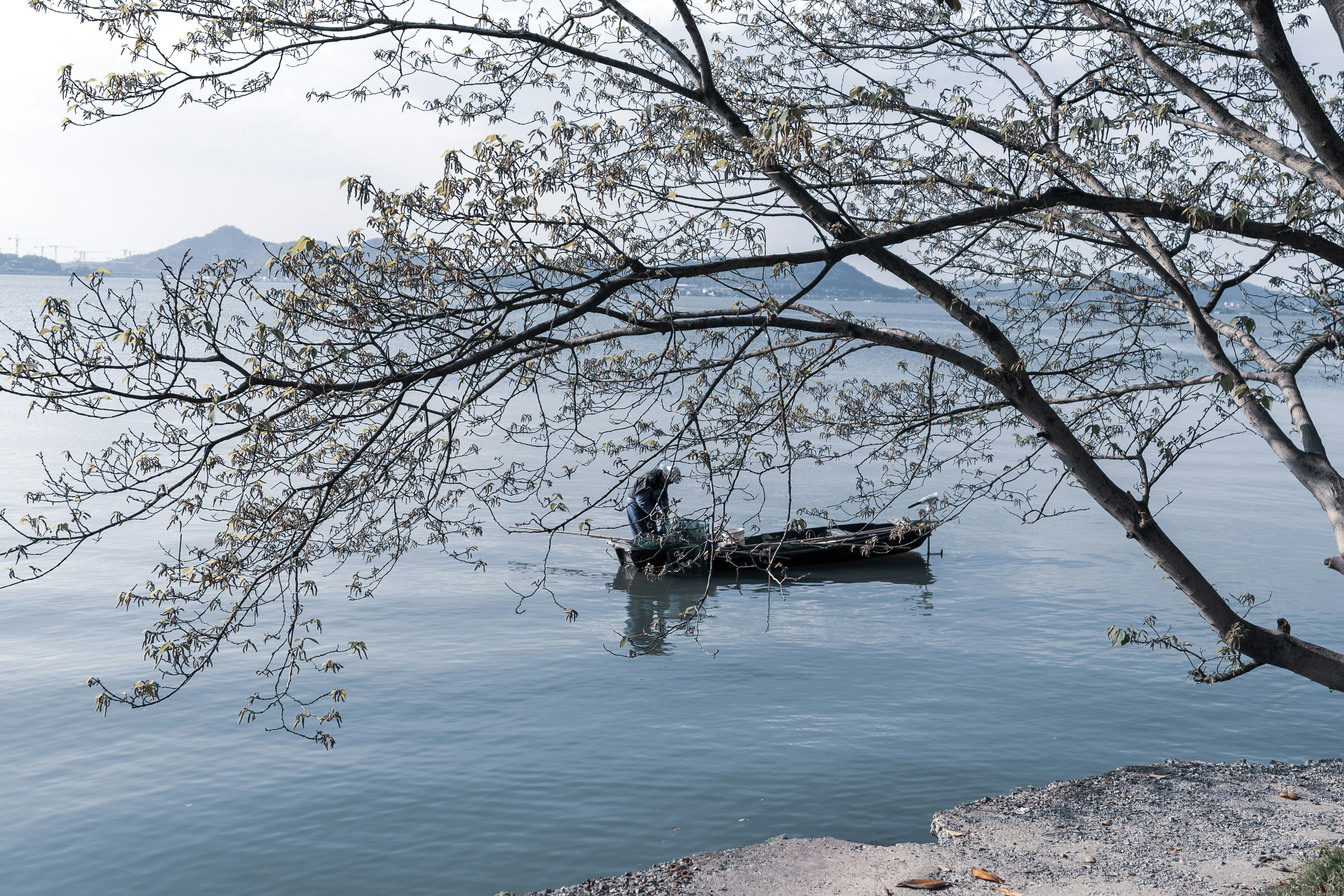 A Quiet Vessel Framed by Spring Blossoms over a Glassy Lake