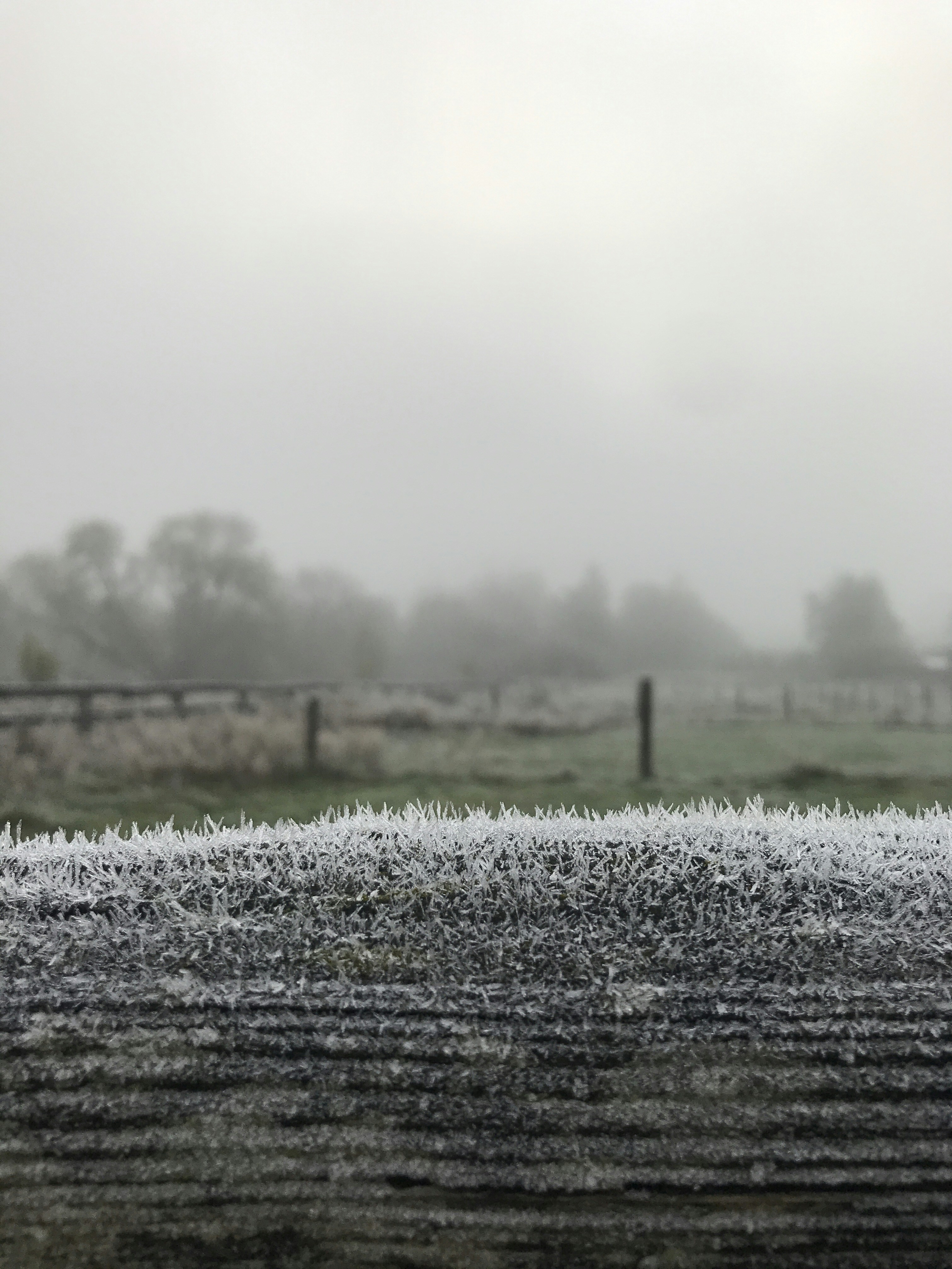 Delicate frost coats a wooden fence in a tranquil, misty landscape, hinting at the chill of early morning. The background fades into a soft blur, emphasizing the frost's intricate details.