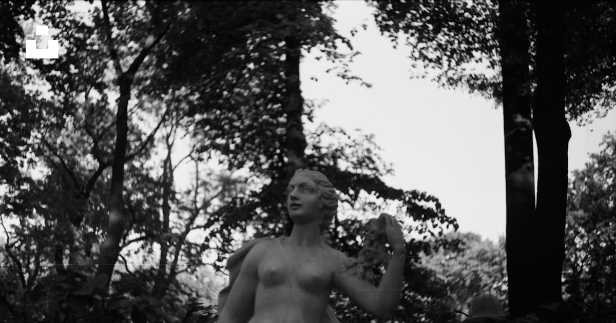 Photo En Niveaux De Gris Dune Femme Aux Seins Nus Debout Près Dun