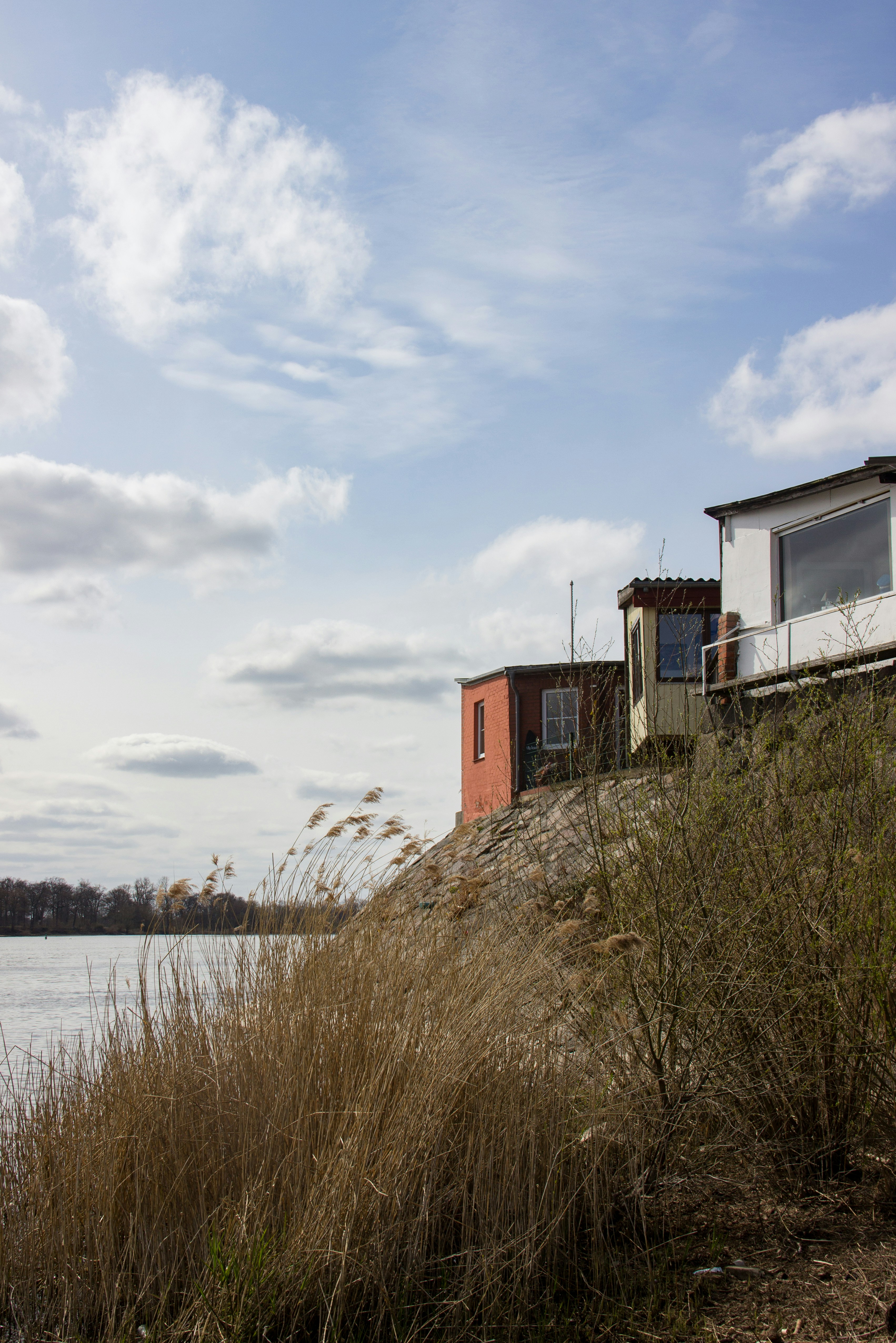 Cliffside Dwellings by the Water