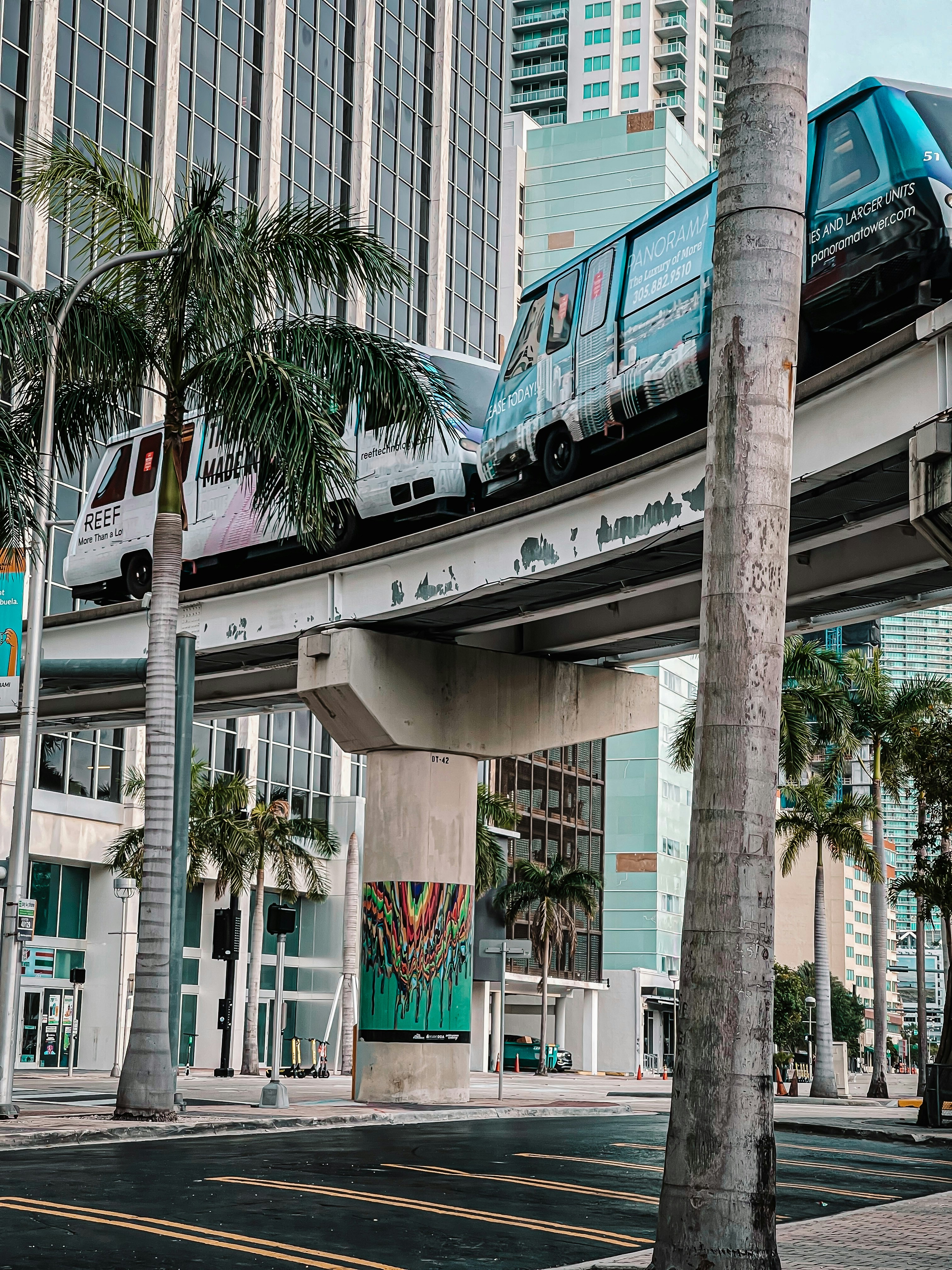 green palm tree near white and brown concrete building during daytime