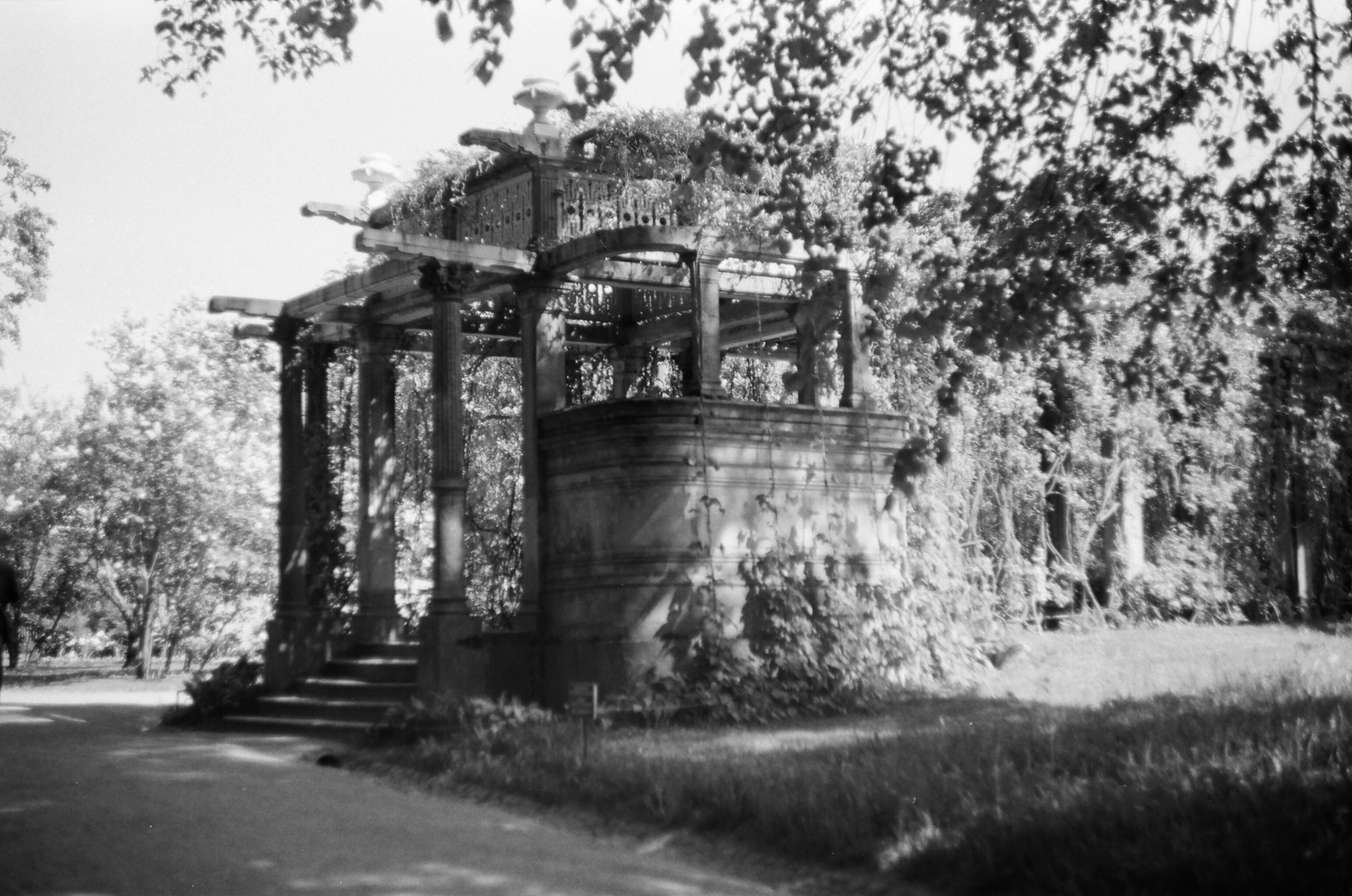 Sunlit pavilion in a quiet park: a weathered wooden gazebo
