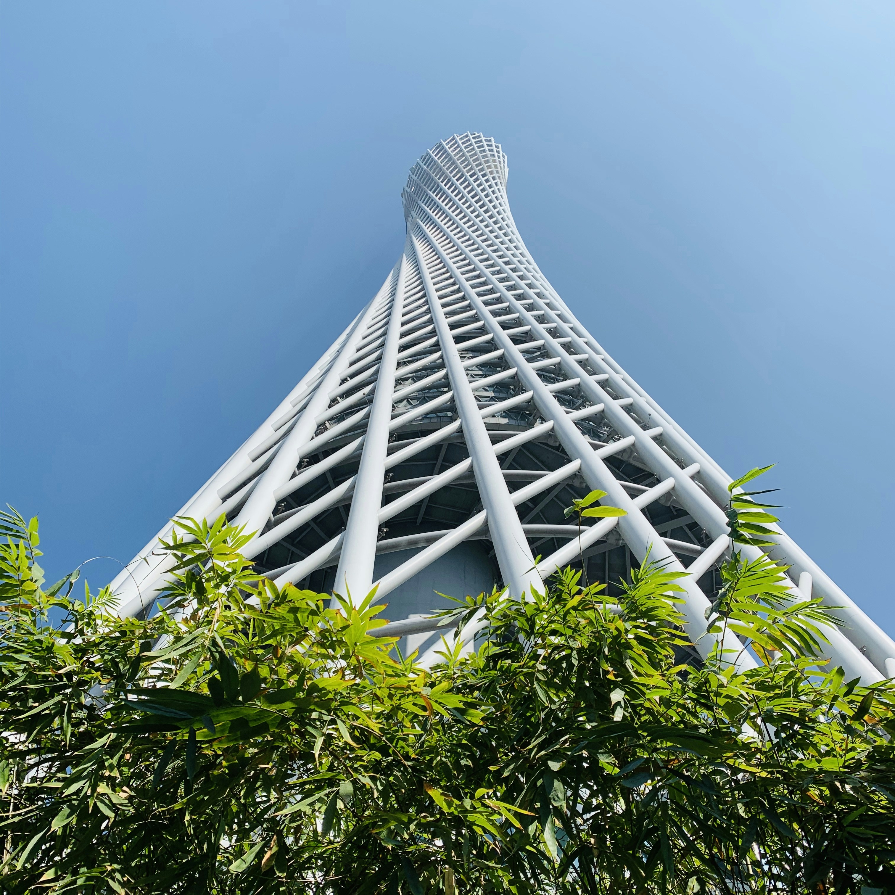 tower