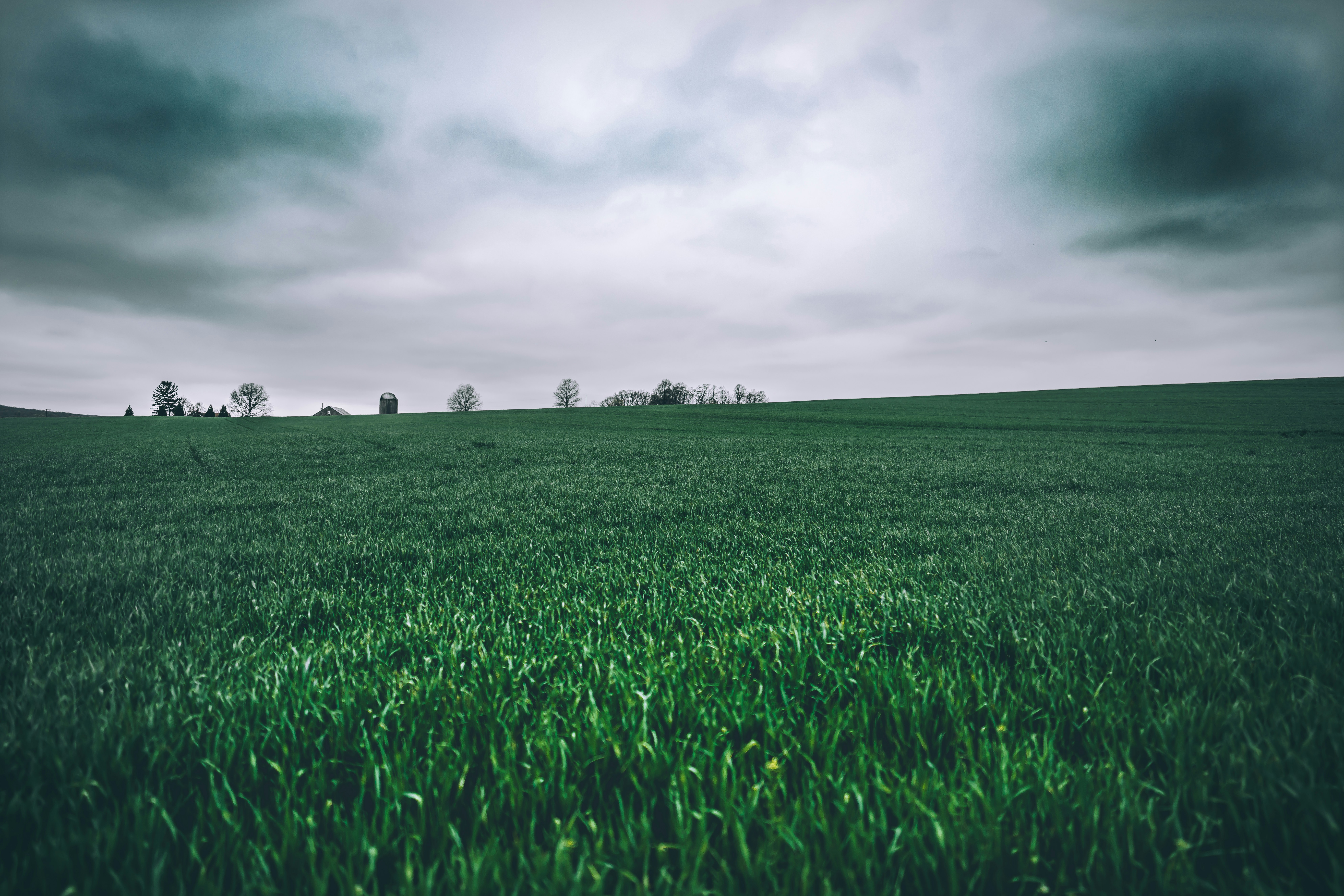Emerald Expanse Under a Moving Sky: A Lone Barn on the Horizon