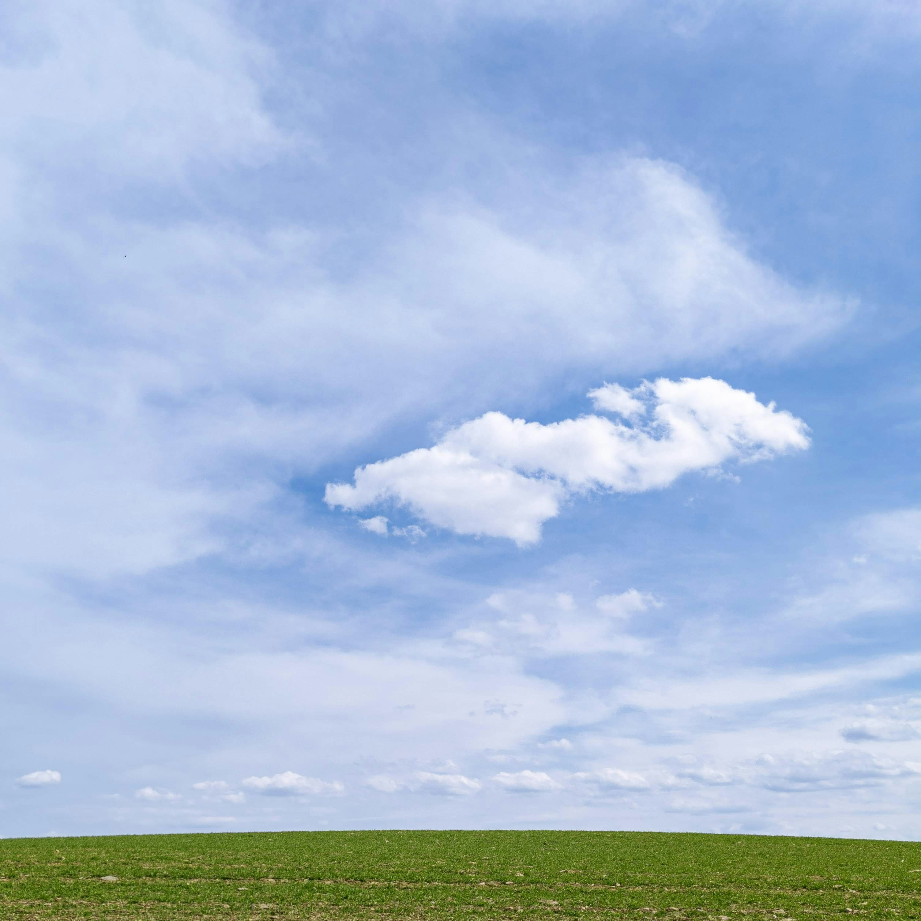 Lone cloud drifts over a vast green field beneath a clear blue sky.