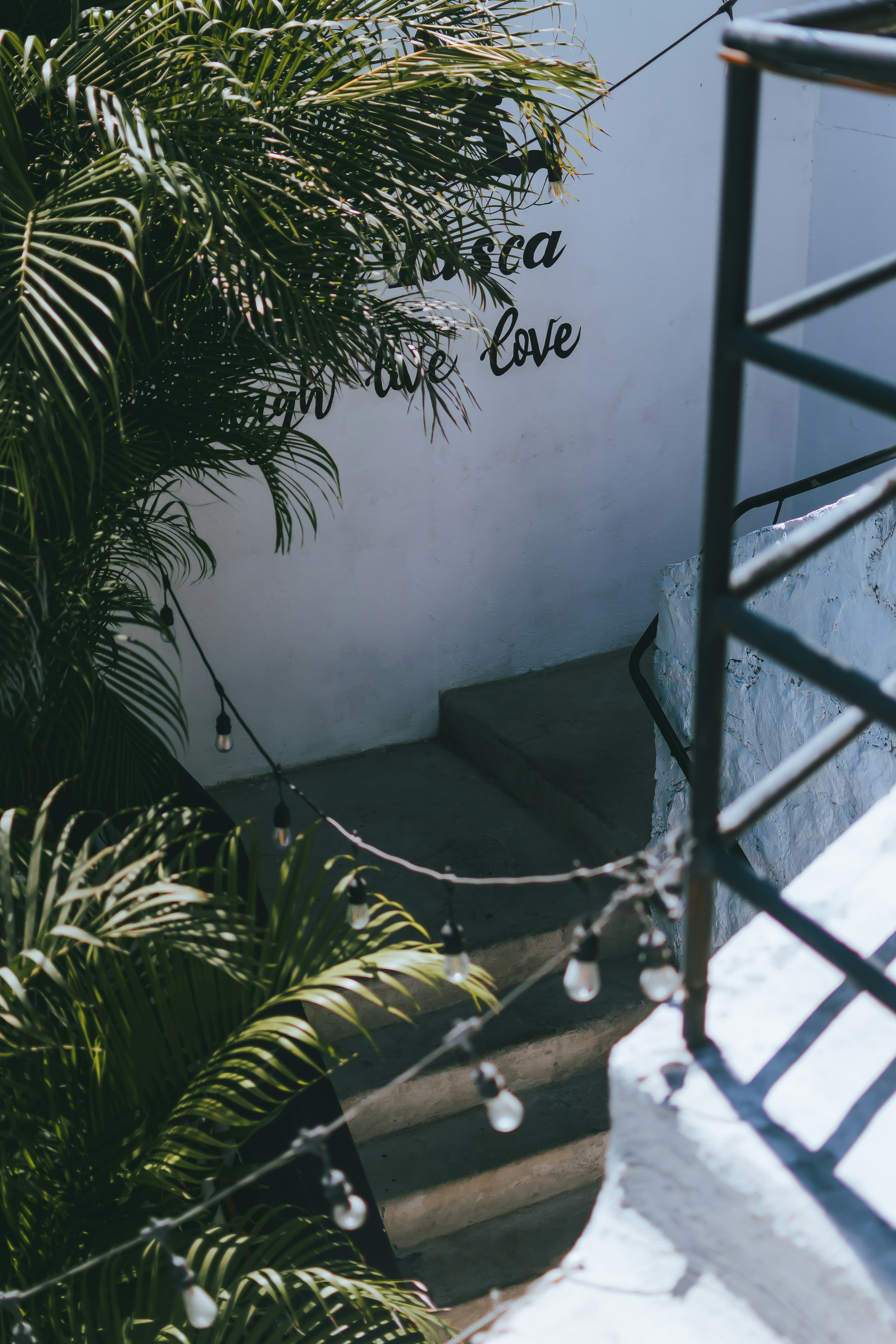 Love Script in the Sun: Palm-Framed Staircase Gateway