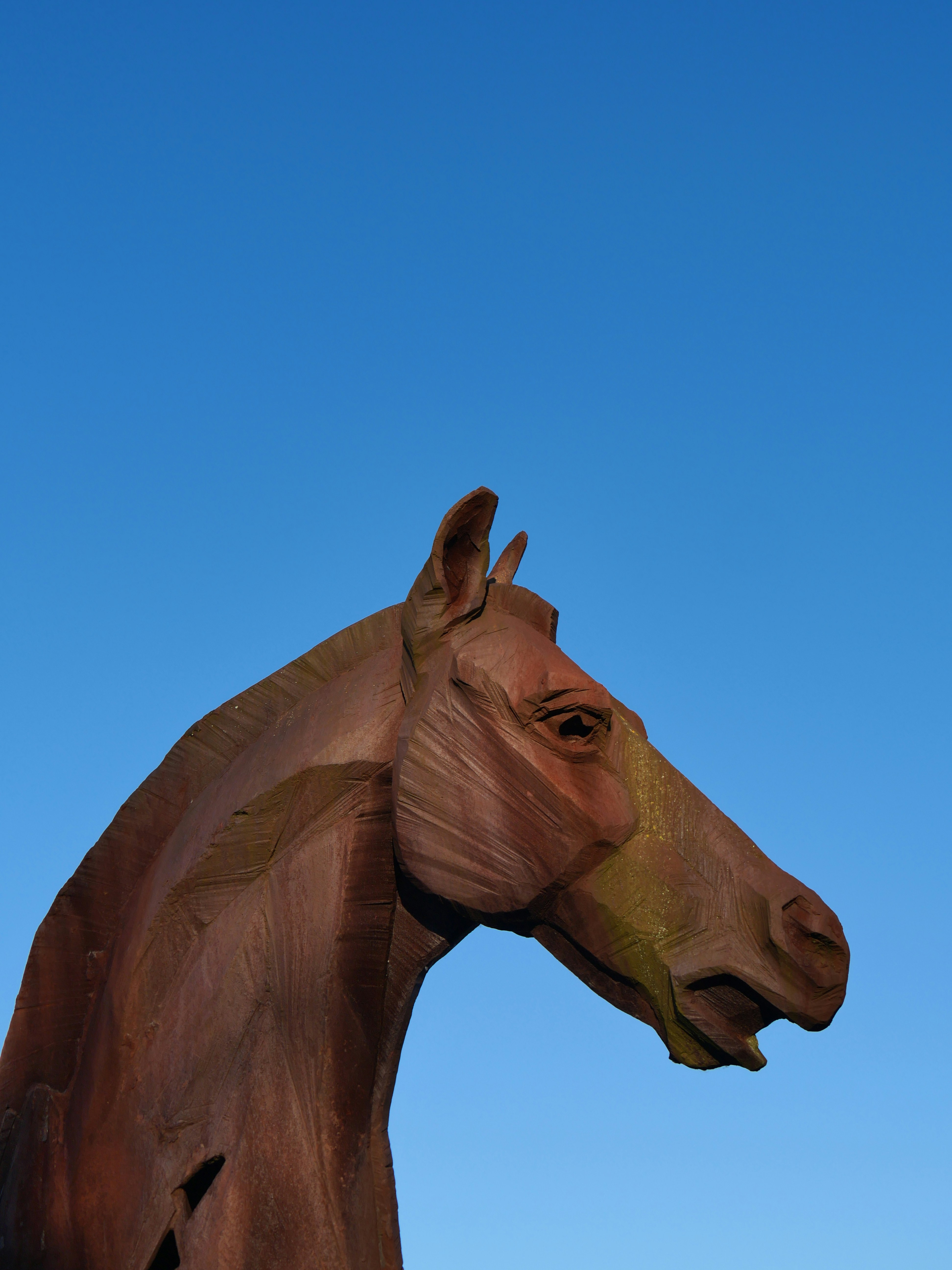 brown horse head statue under blue sky during daytime