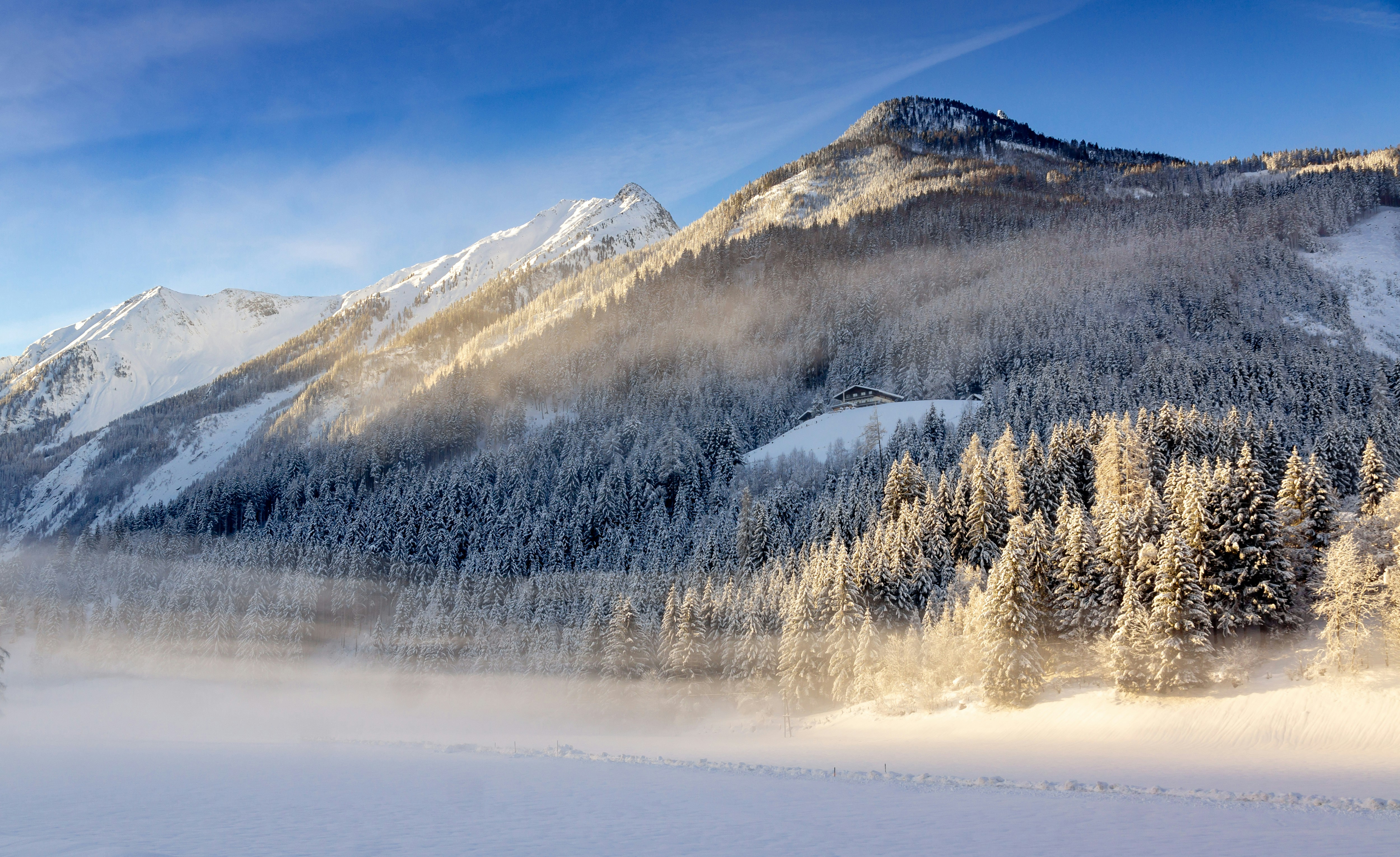 Snow-covered mountains rise majestically above a tranquil forest, enveloped in a soft mist. The scene captures the quiet beauty of winter's embrace.