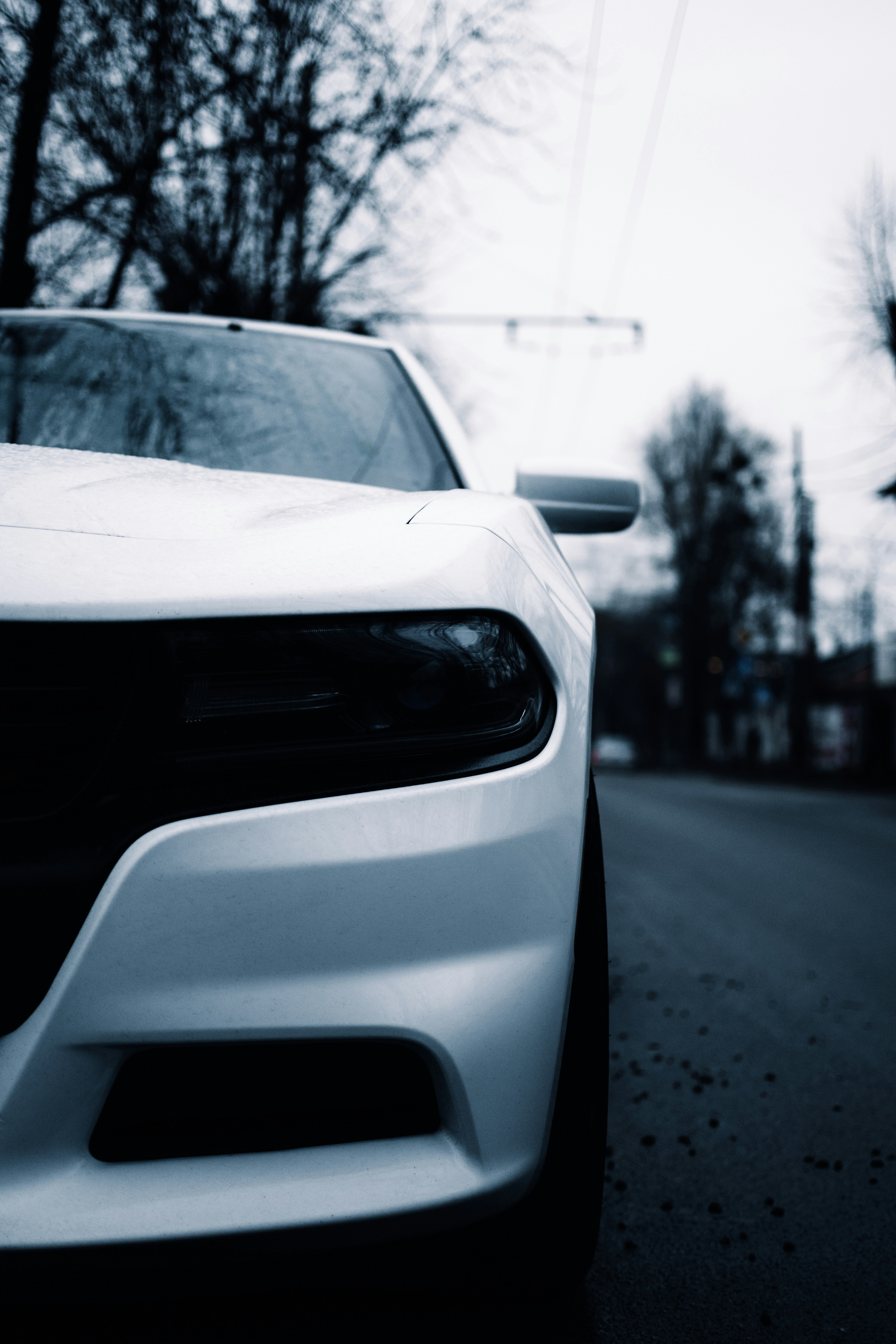 Frontline Curves: A White Muscle Car at the Edge of a Quiet Street