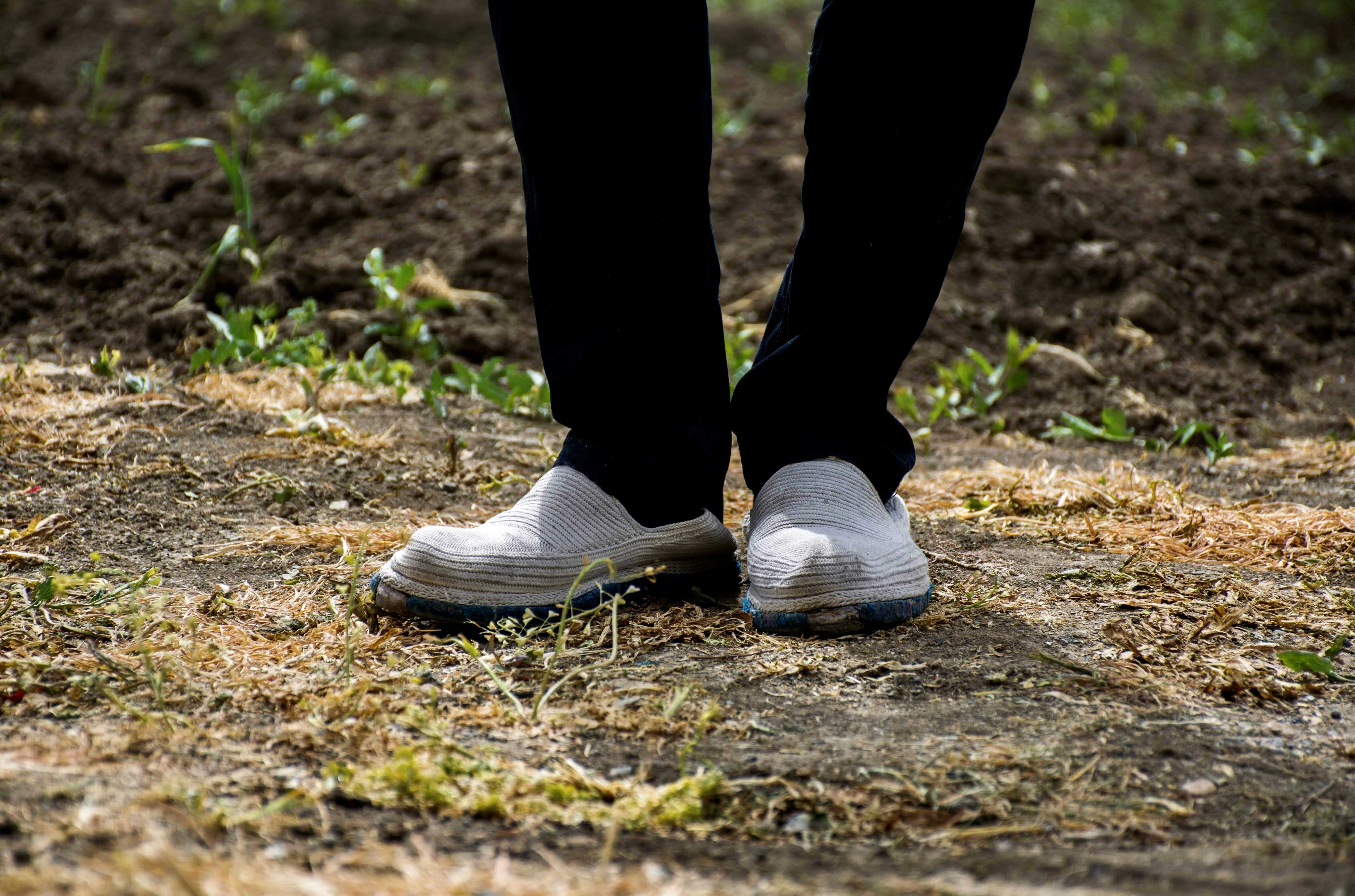 Gray shoes and black pants standing on sunlit, dried leaves with scattered greenery.