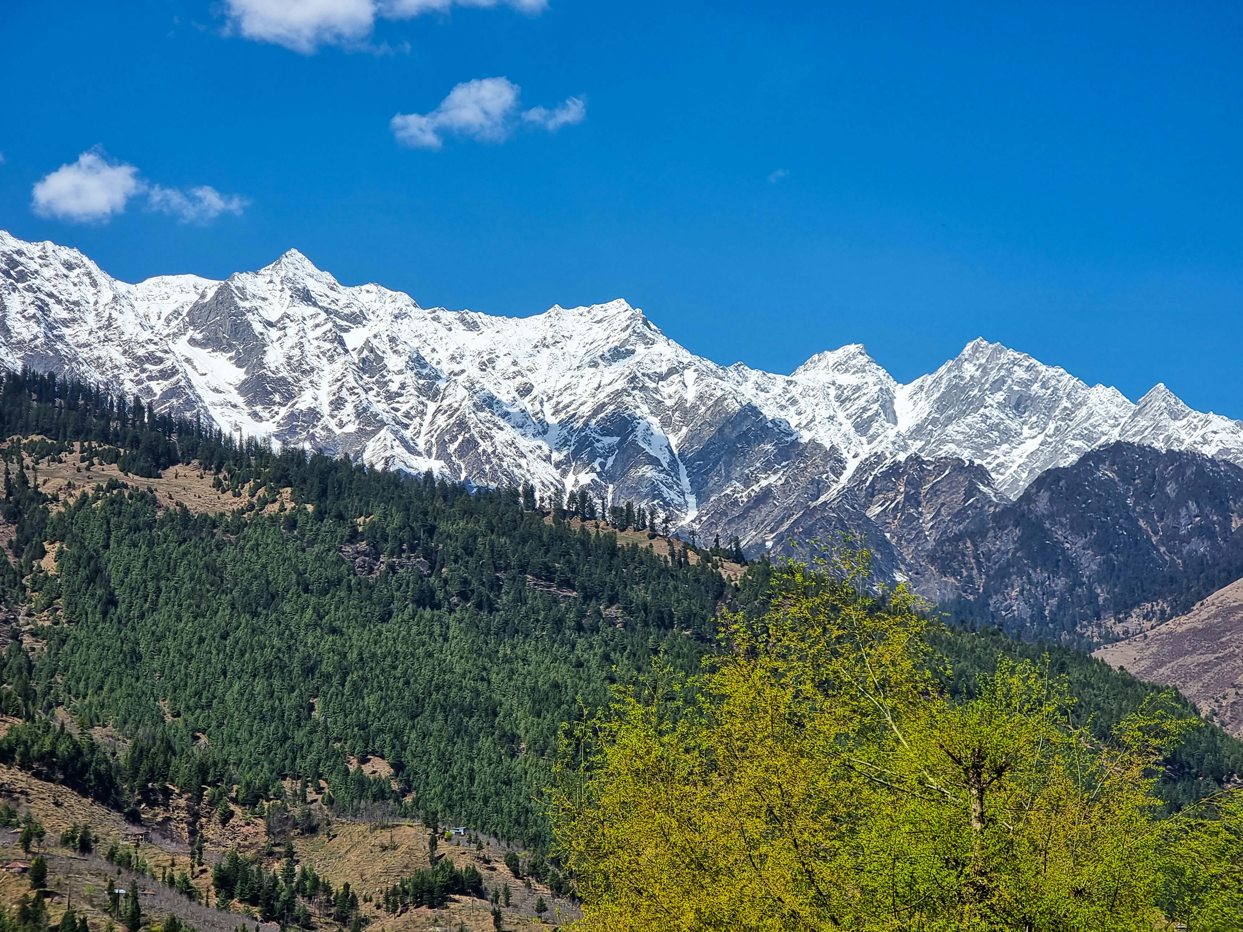 Mesmerizing Manali | 4 best free manali, himachal pradesh, india and ...