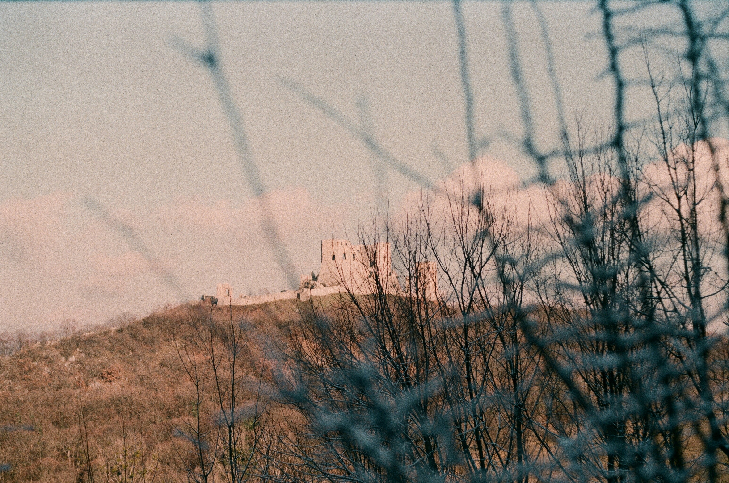 Castle on the Crest: Soft Hills and Winter Branches