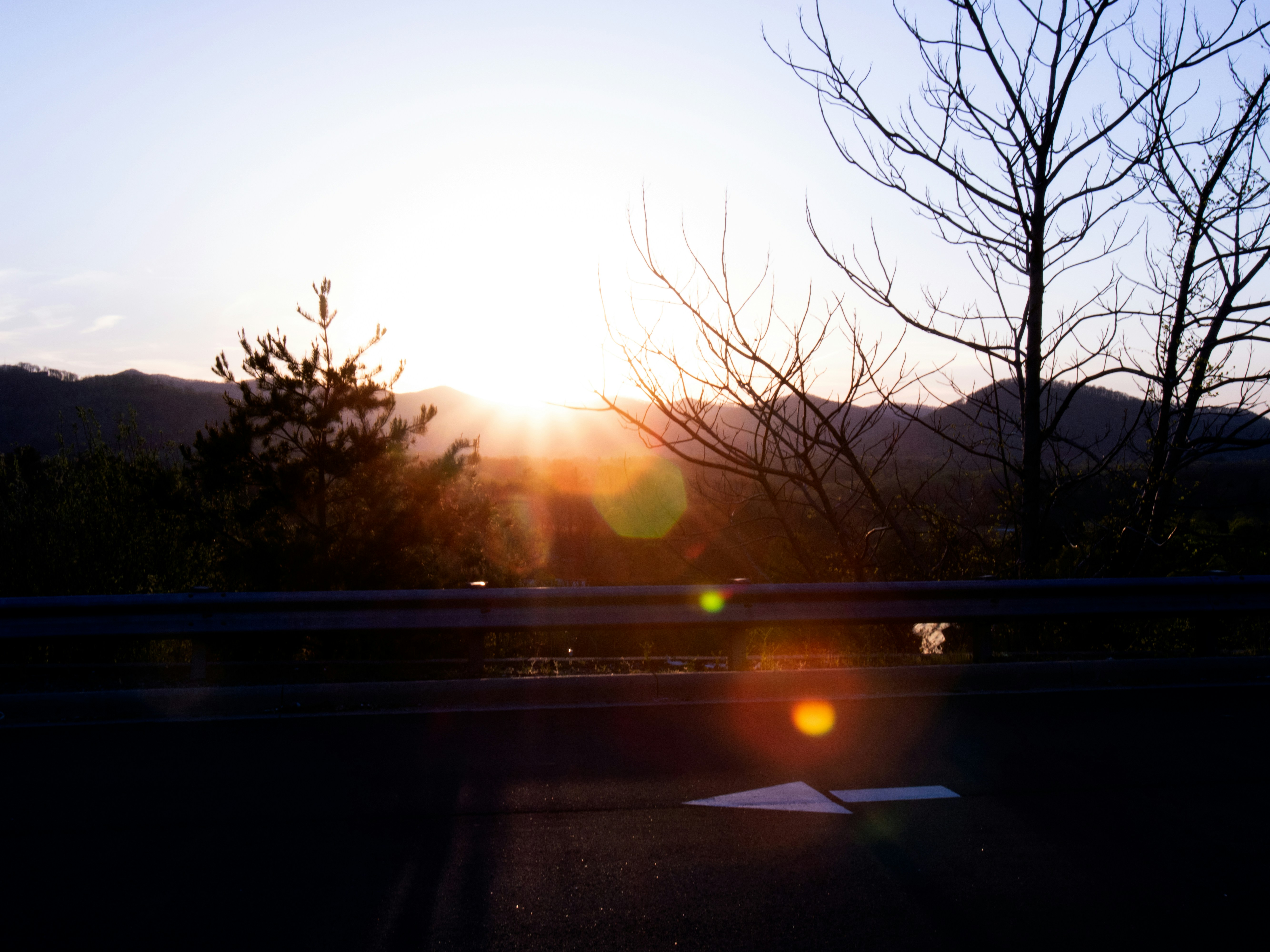 Silhouetted trees and mountains against a vibrant sunset, with lens flare creating a dynamic visual effect on the highway.