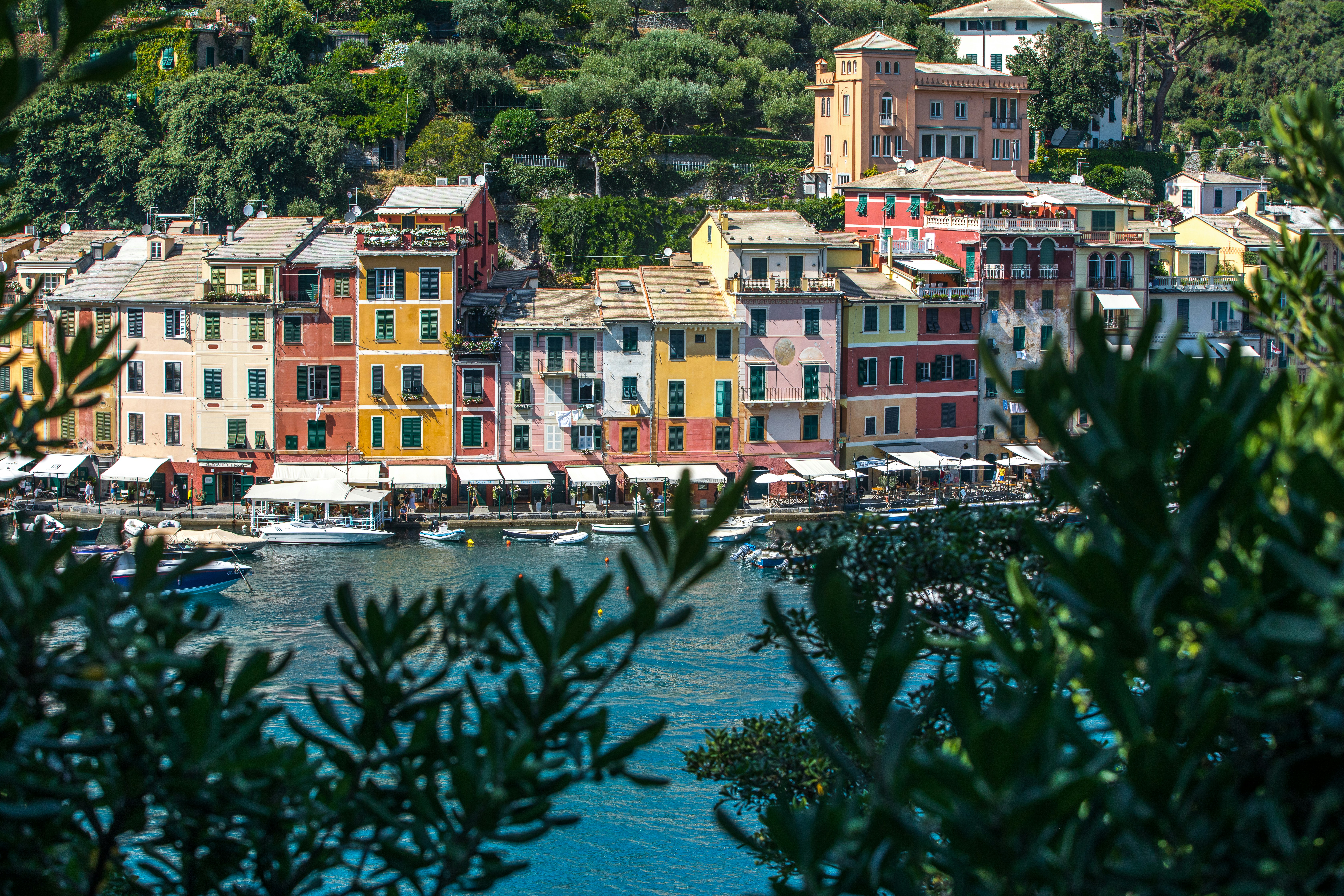 Colorful buildings line a waterfront, viewed through leafy branches.