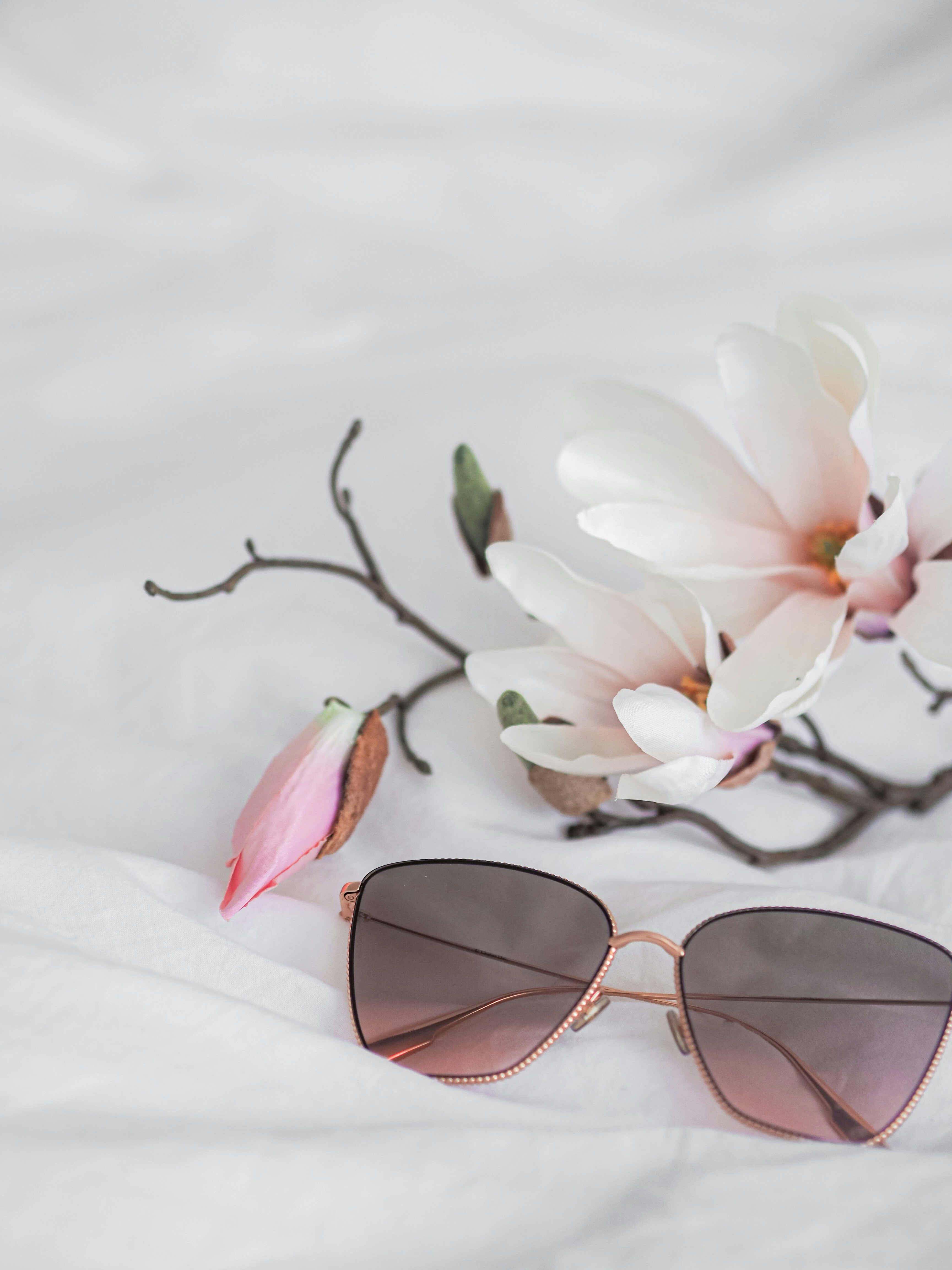 Resuscitation - Amara’s Corner