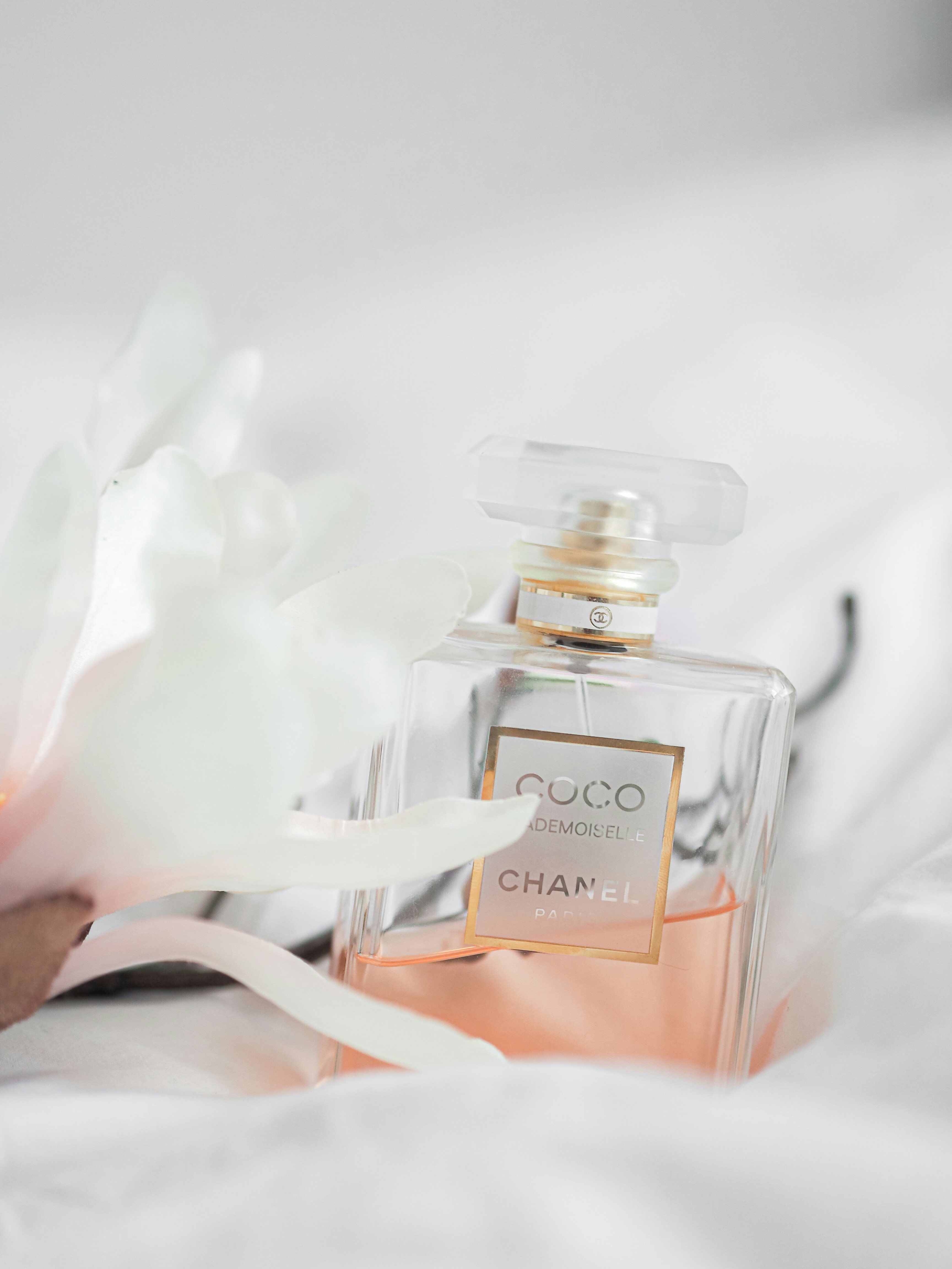 Calvin klein one perfume bottle photo – Free Paris Image on Unsplash