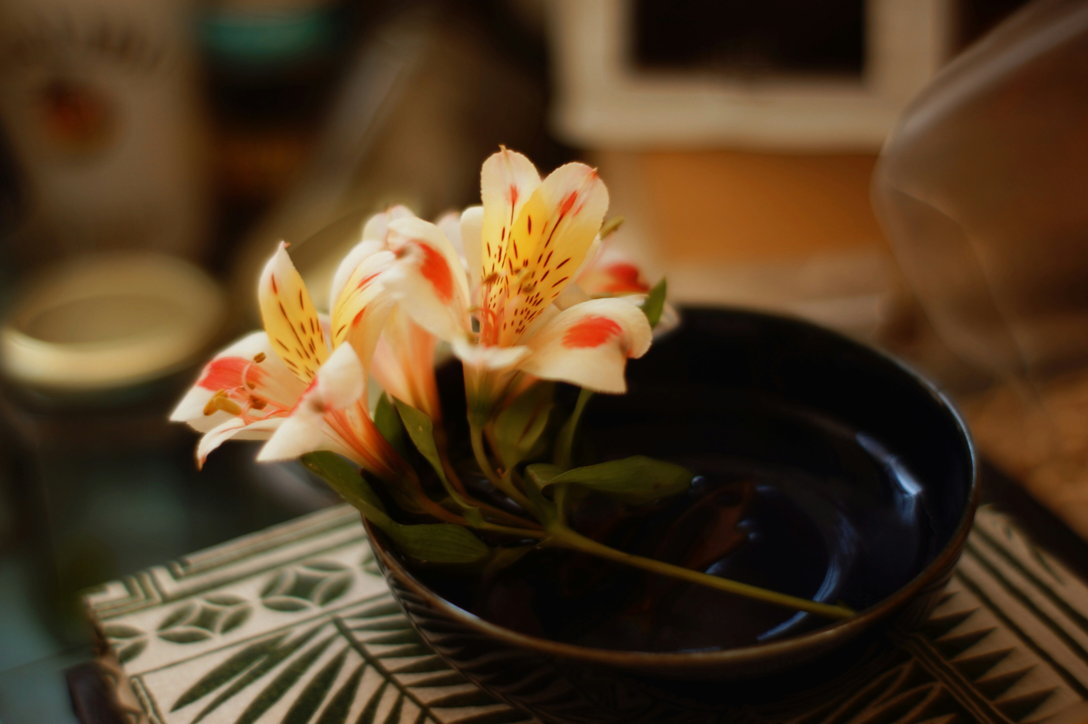 Delicate orange and white flowers resting in a dark blue bowl, surrounded by a patterned surface. The composition evokes a sense of tranquility.