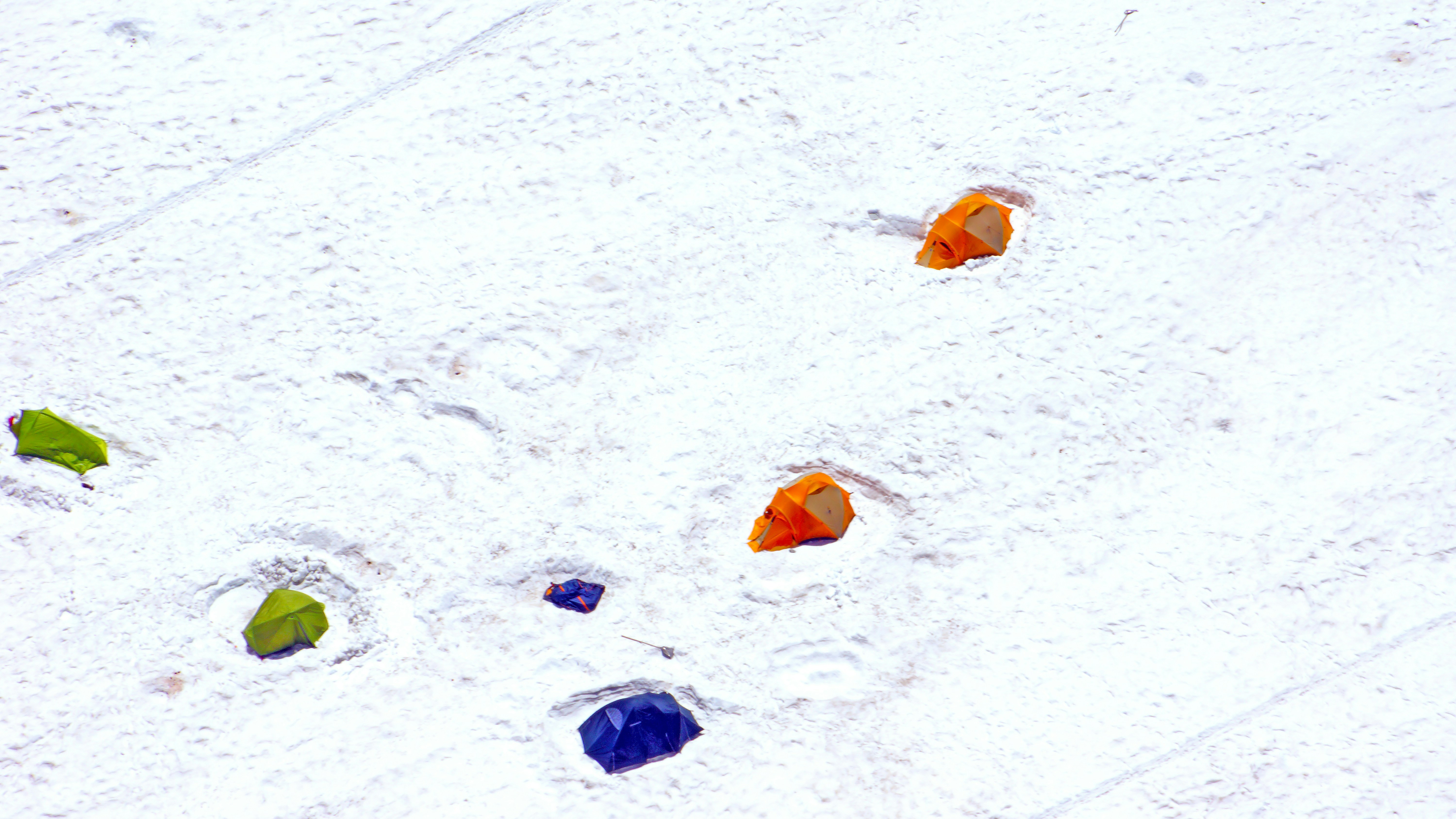 Color Confetti on White: Tiny Umbrellas Scatter Across Snow