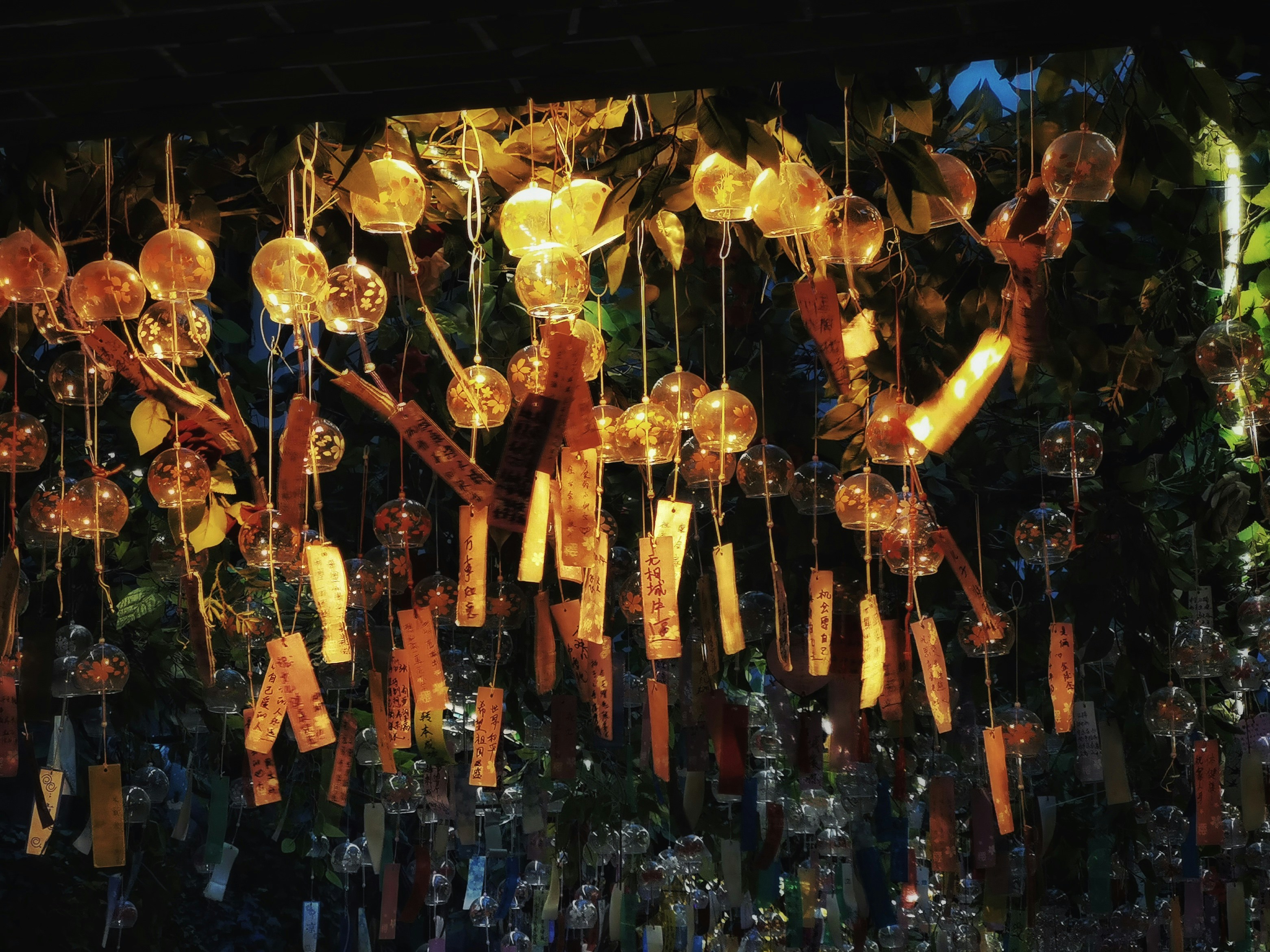 Xue ming (@wendygym) | Unsplashフォトコミュニティ