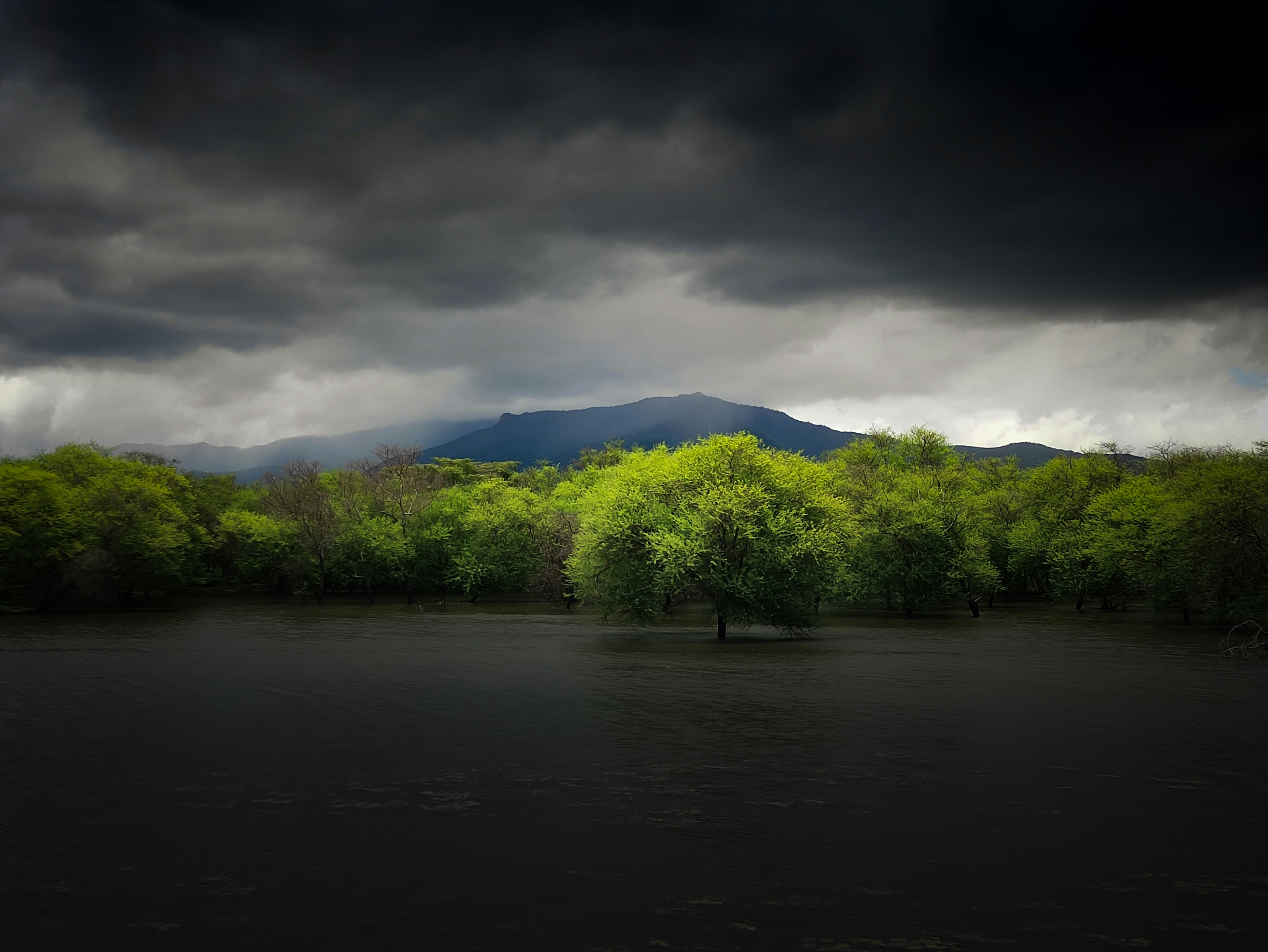 Lush green trees stand resilient in a dark, moody landscape, reflecting in the still waters below. The mountains loom in the background, hinting at an impending storm.