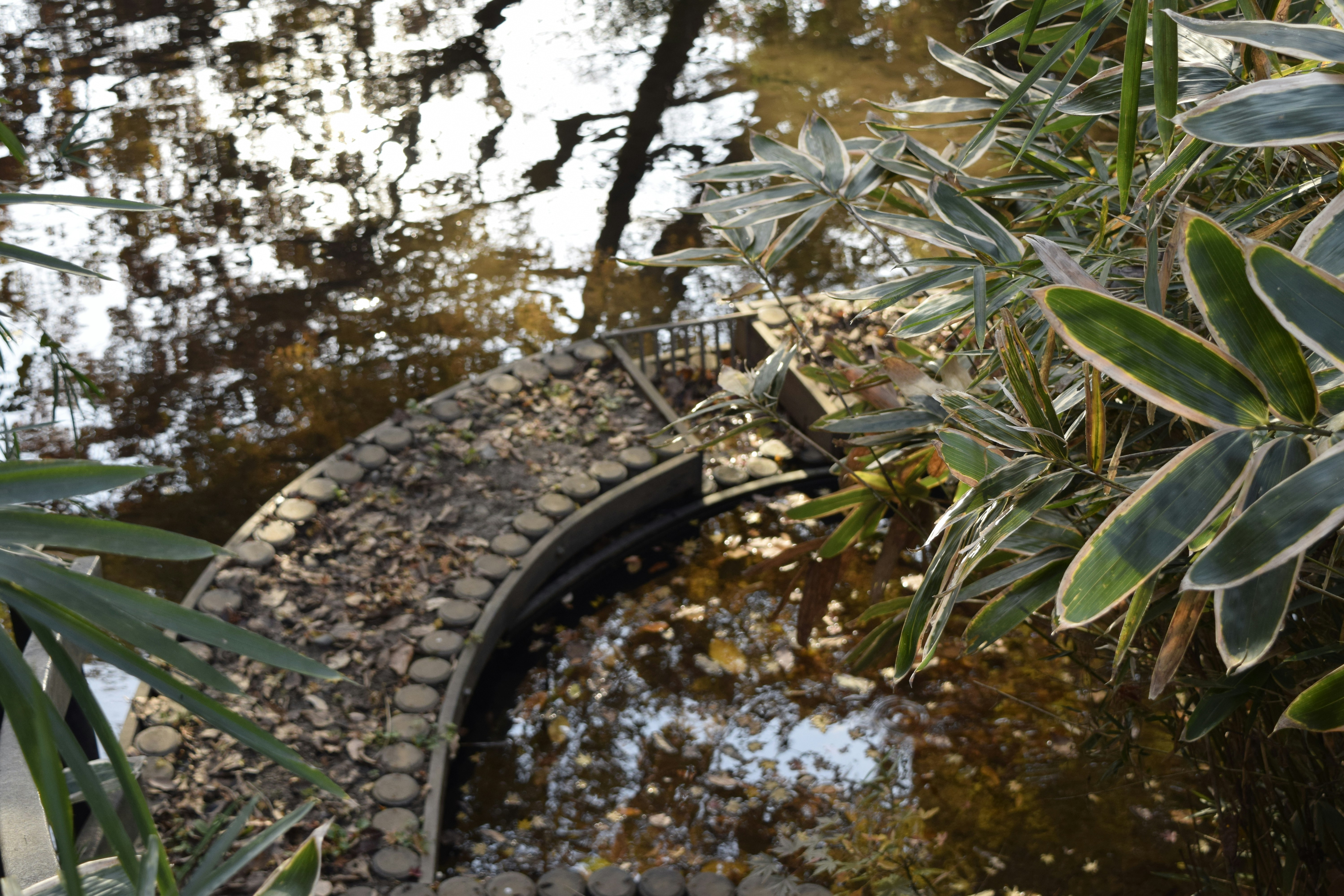 Whispering Curve: A Pebble-arched Bridge Framing a Reflective Garden Pond