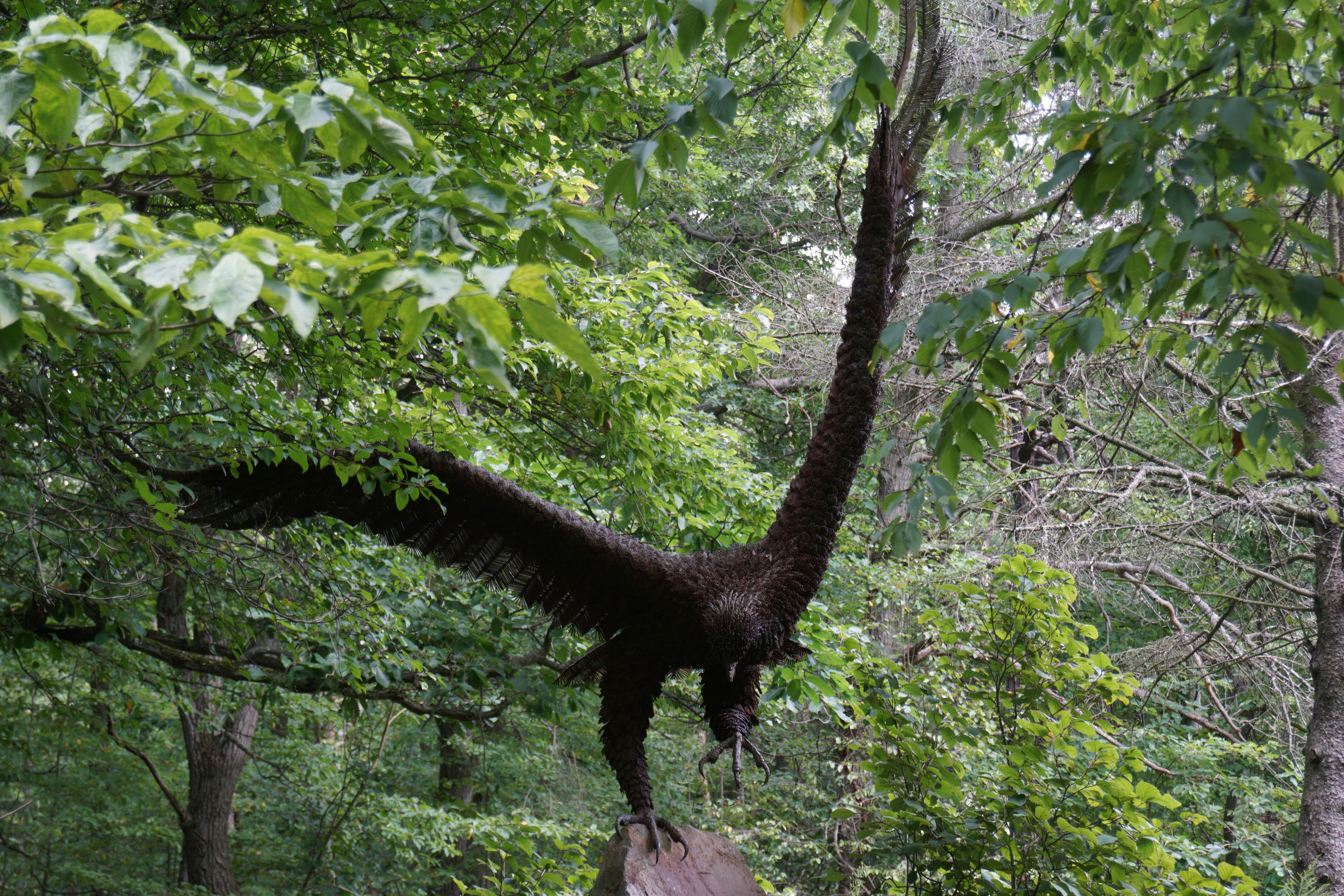 brown tree trunk in the forest during daytime